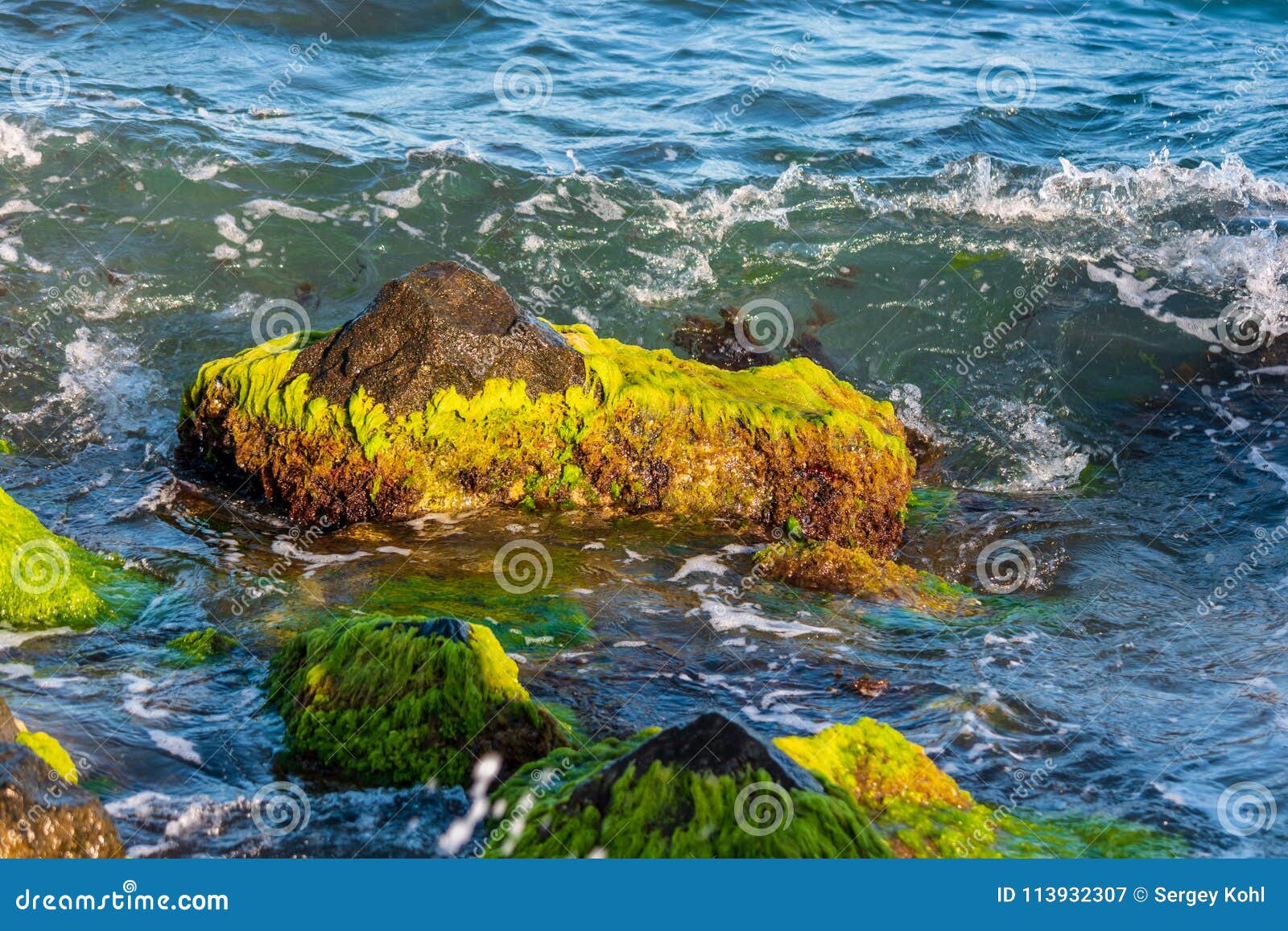 Sea Surf, Waves and Rocks Covered with Algae. Stock Image - Image of ...
