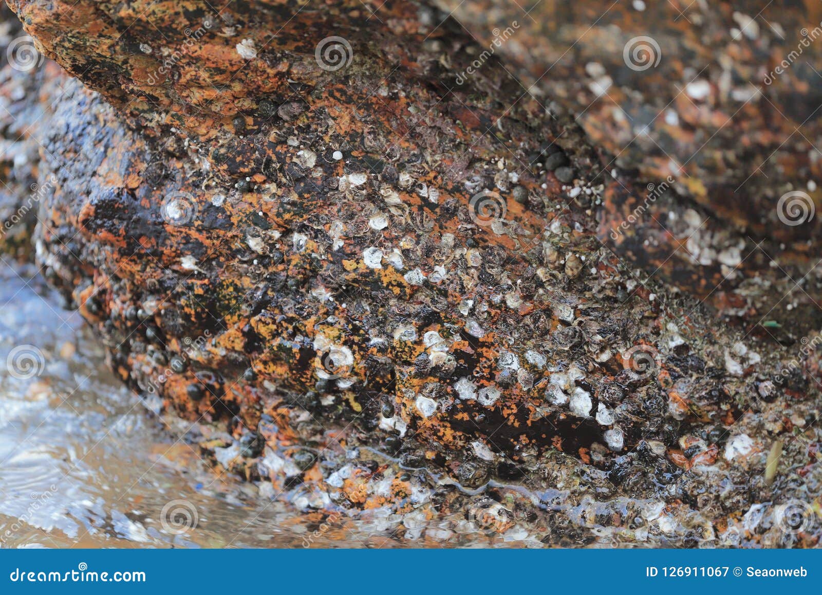 A Sea Surface, Rocks on the Beach Stock Image - Image of texture ...