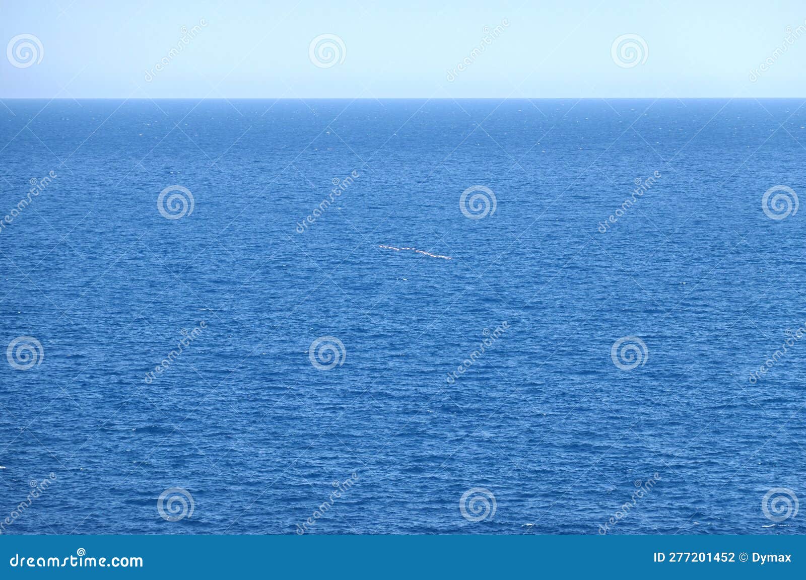 Sea Surface with Small Waves Till Skyline and String of Seagulls Above ...