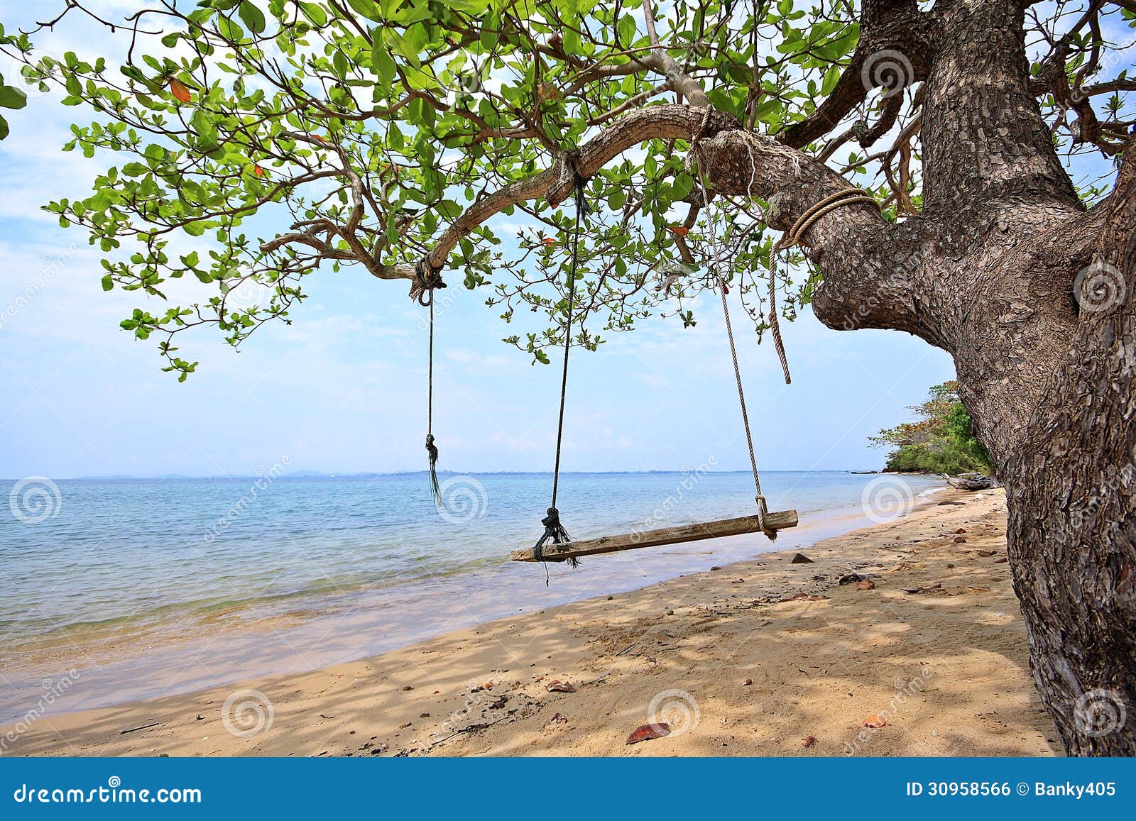 Sea swing stock photo. Image of tourism, green, travel - 30958566