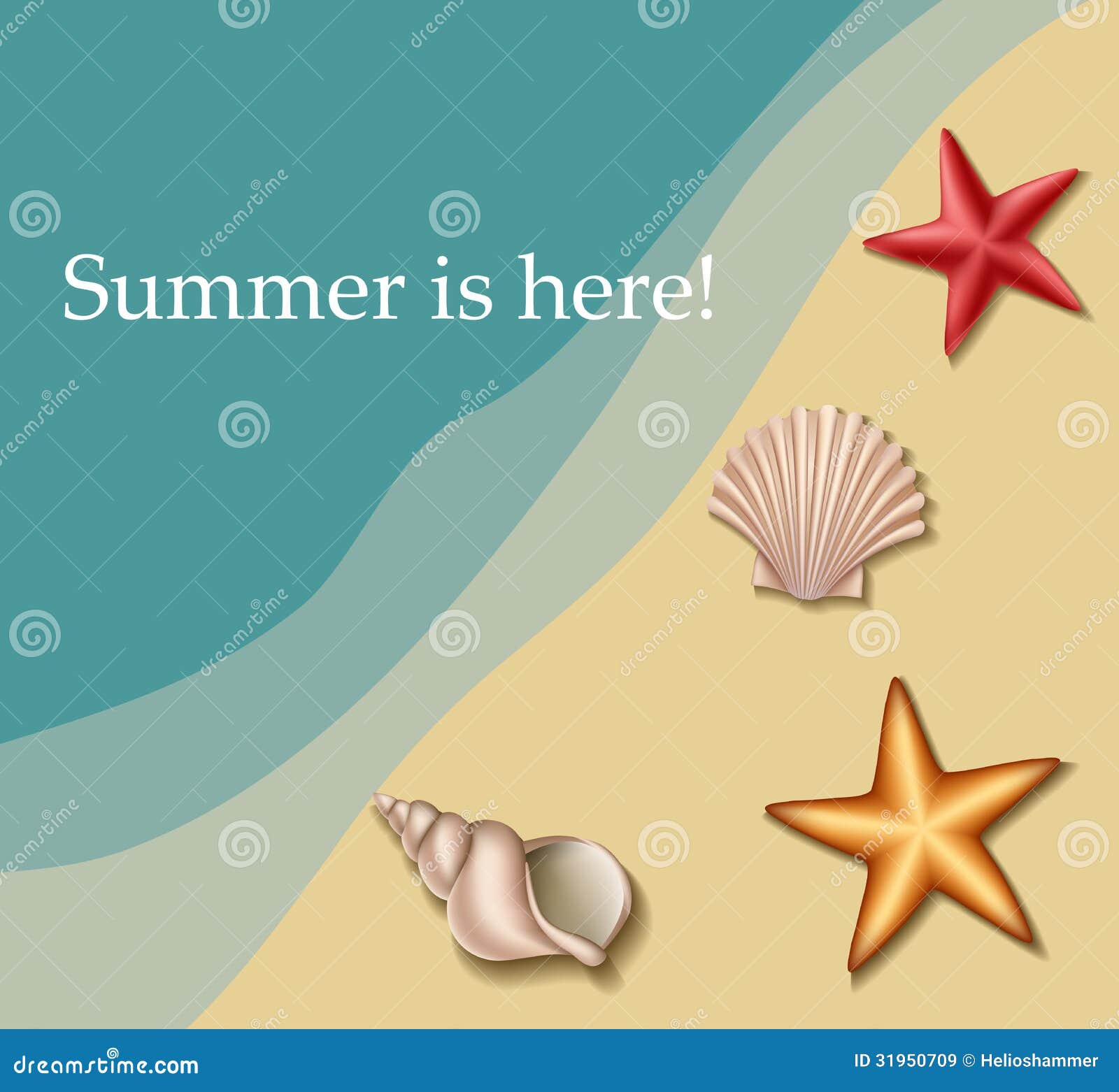 Sea Text Frame with Shells and Sea Stars Stock Vector - Illustration of ...