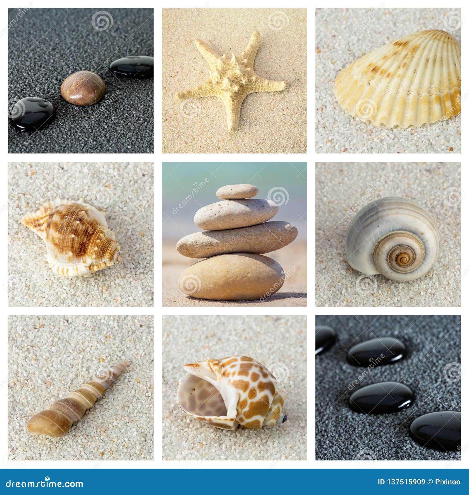 Sea Theme Photo Collage Composed of Different Images Stock Image ...