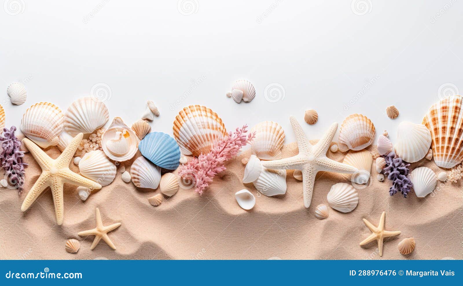 Sea Themed Horizontal Banner with Starfish, Sand, Sea Shells, Top View ...