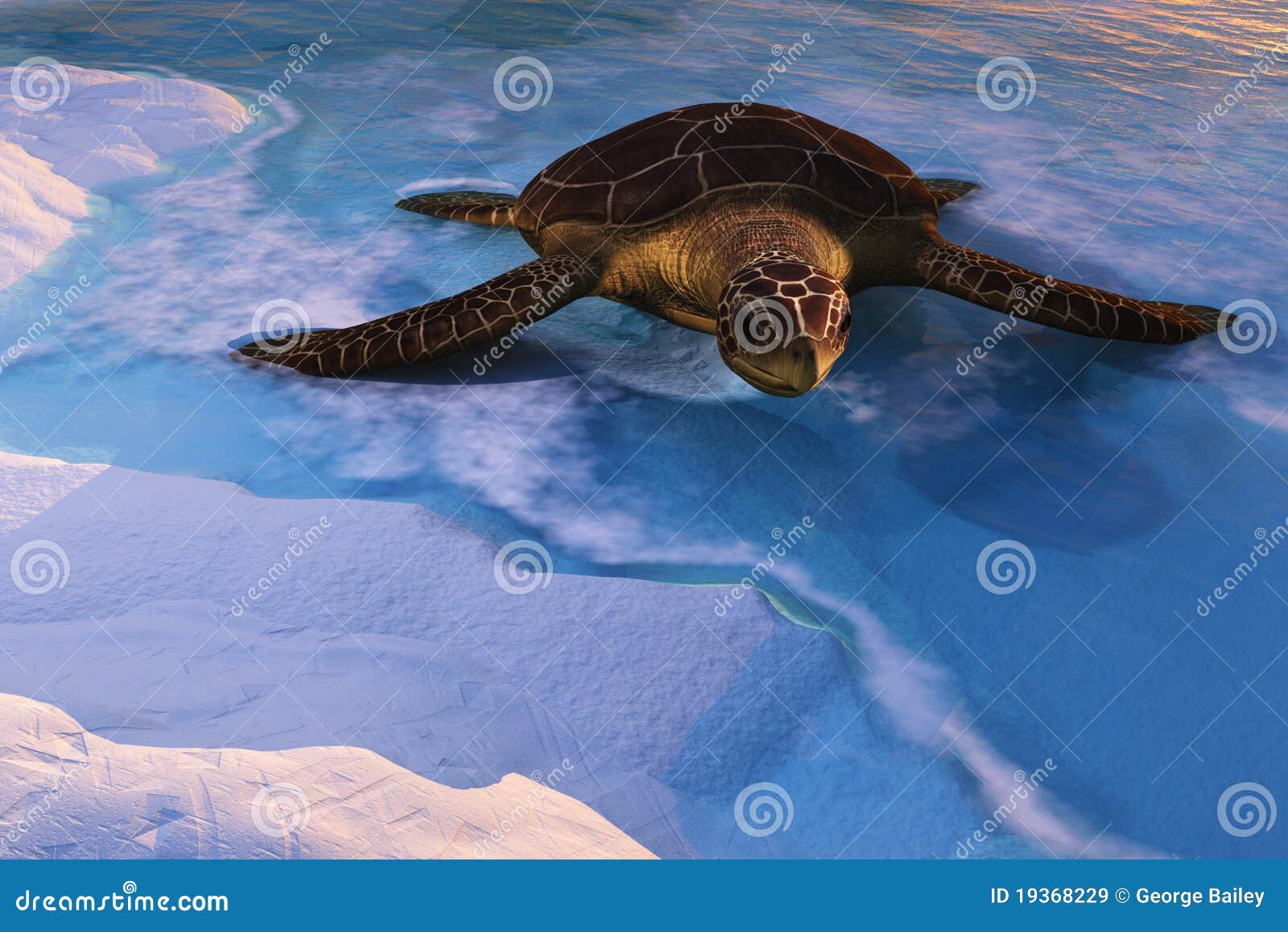 Sea Tortoise Entering Beach Stock Illustration - Illustration of marine ...