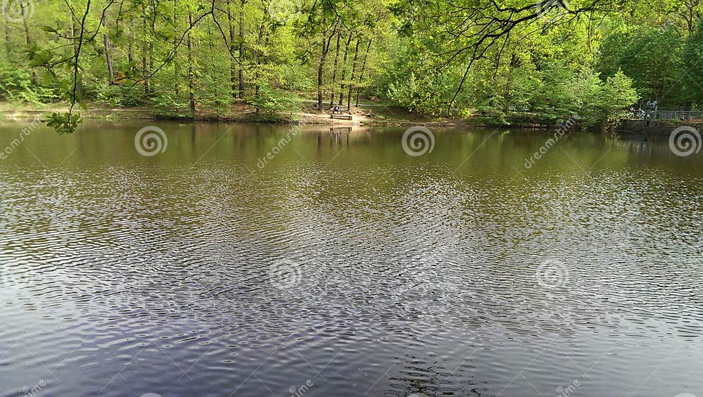Sea stock image. Image of water, lake, bank, reflection - 54464501
