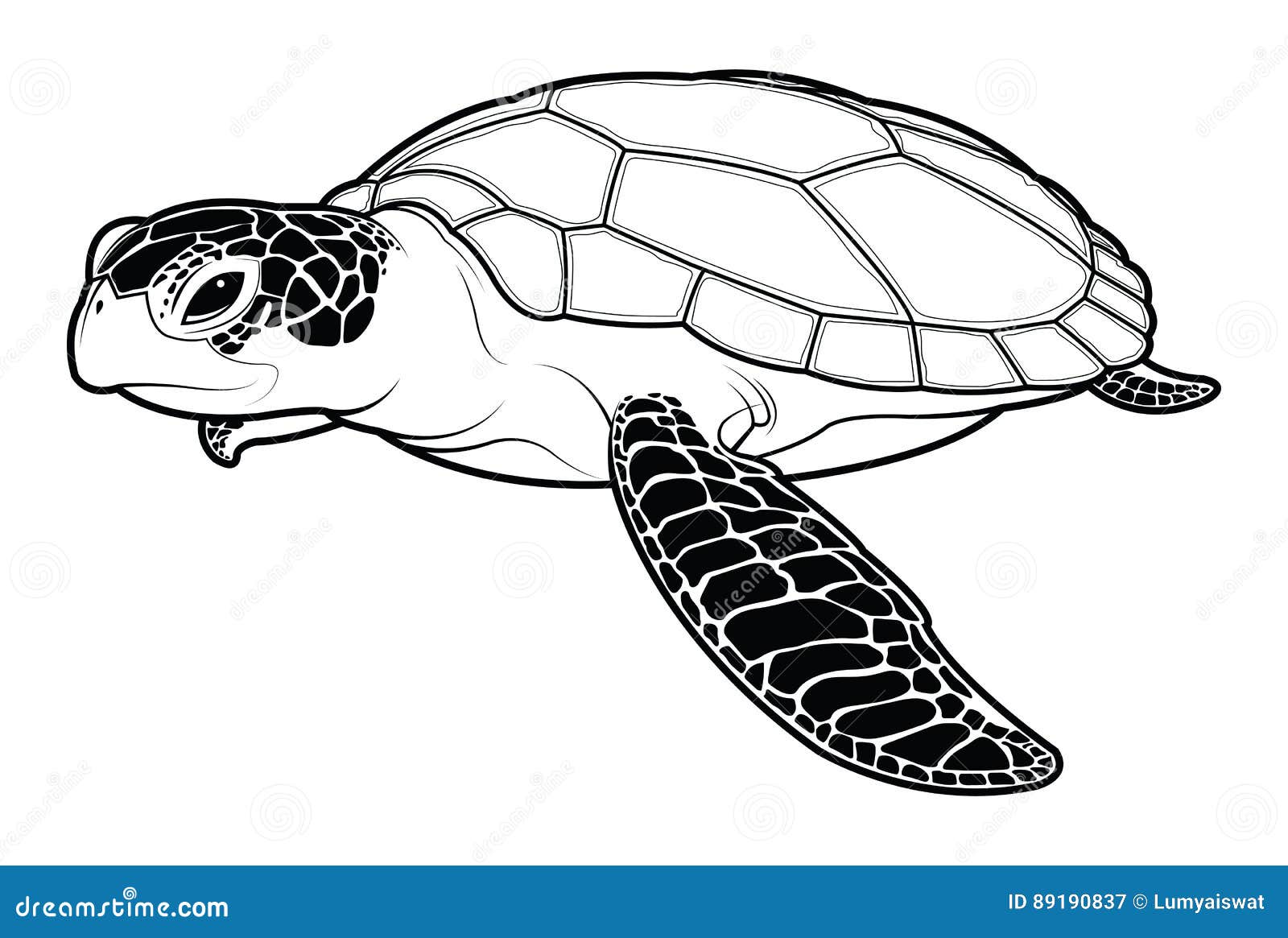 Sea Turtle Animal Cartoon on White Background. Stock Vector ...