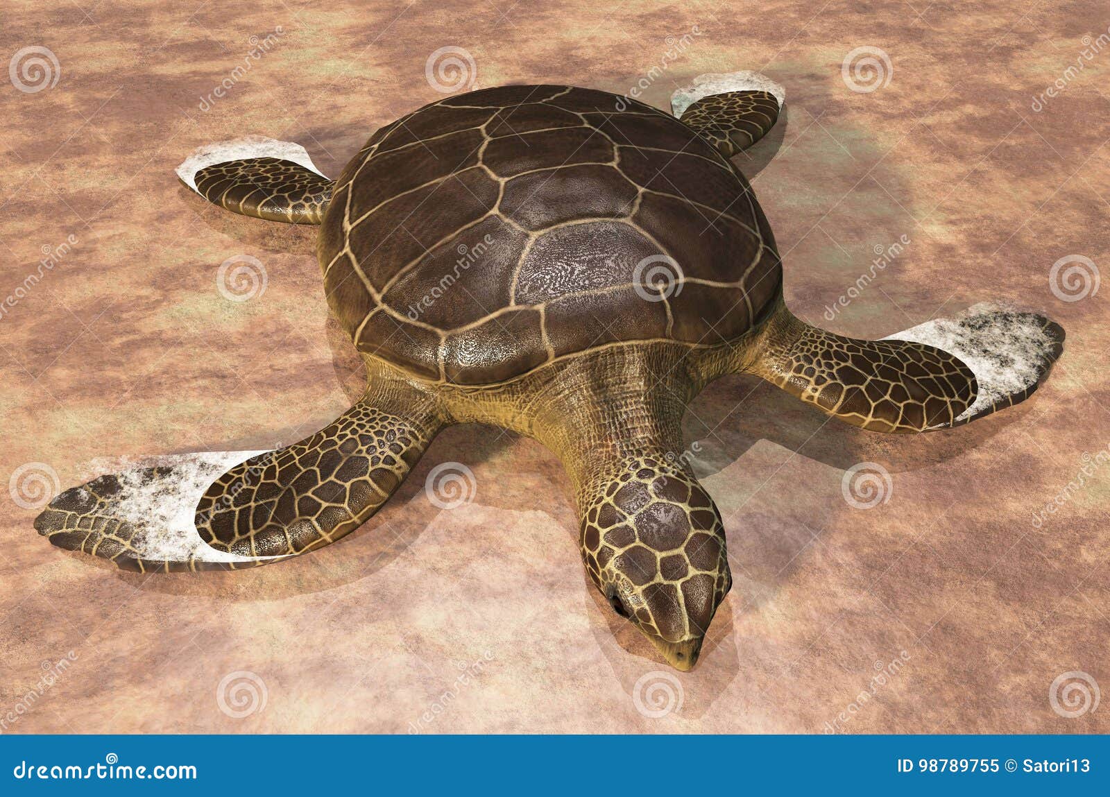 Sea Turtle on the Beach 3d Rendering Stock Illustration - Illustration ...