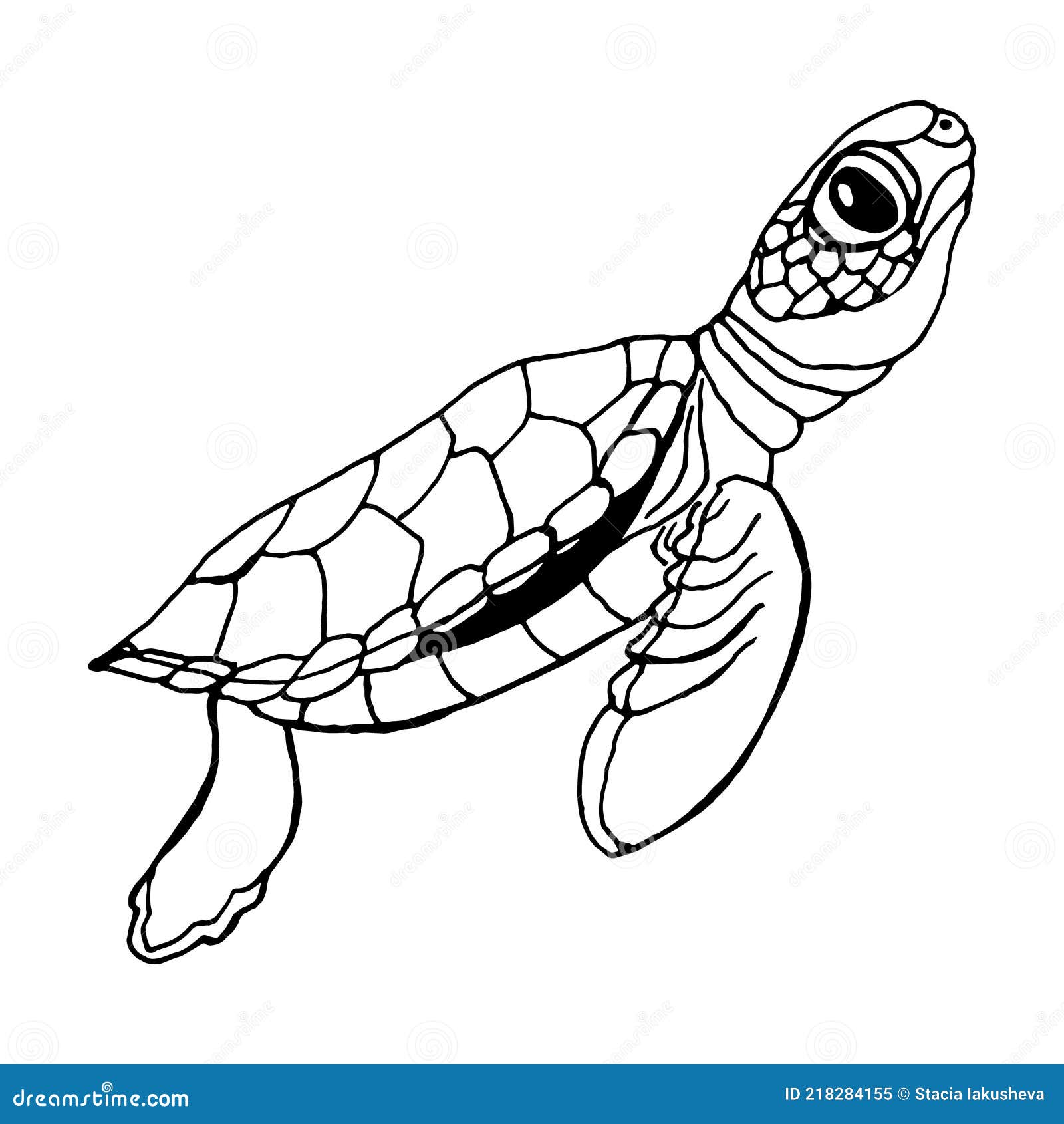 Doodles Sea Turtle
