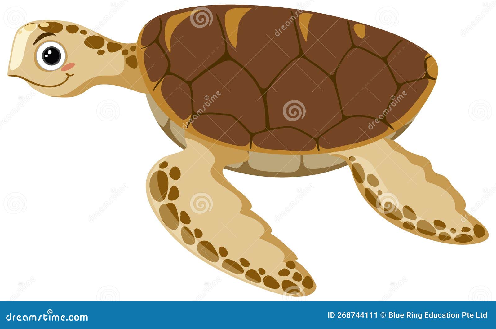 Sea Turtle in Cartoon Style Isolated Stock Vector - Illustration of ...