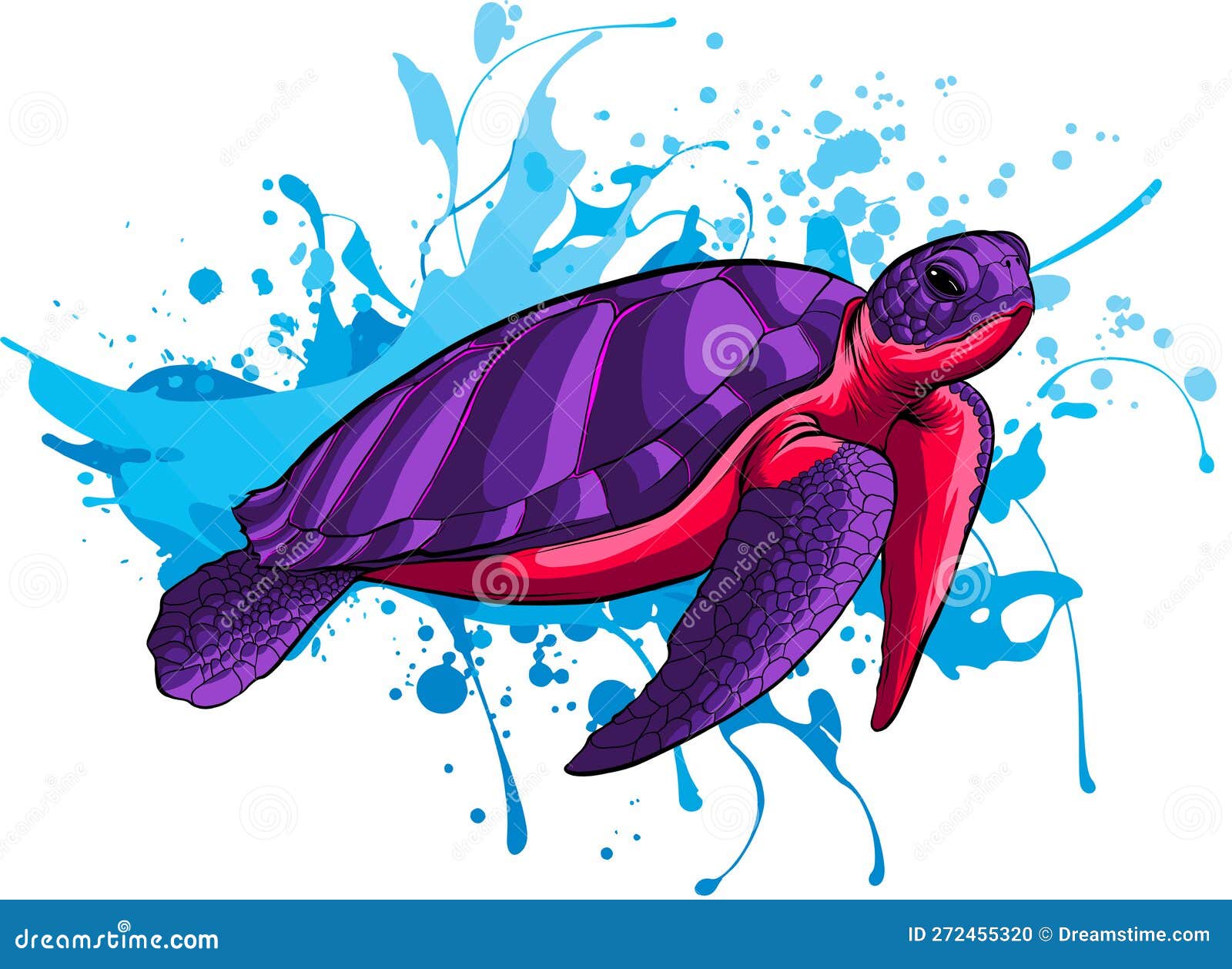 Sea Turtle Colored Drawing of a Sea Turtle on a White Background ...