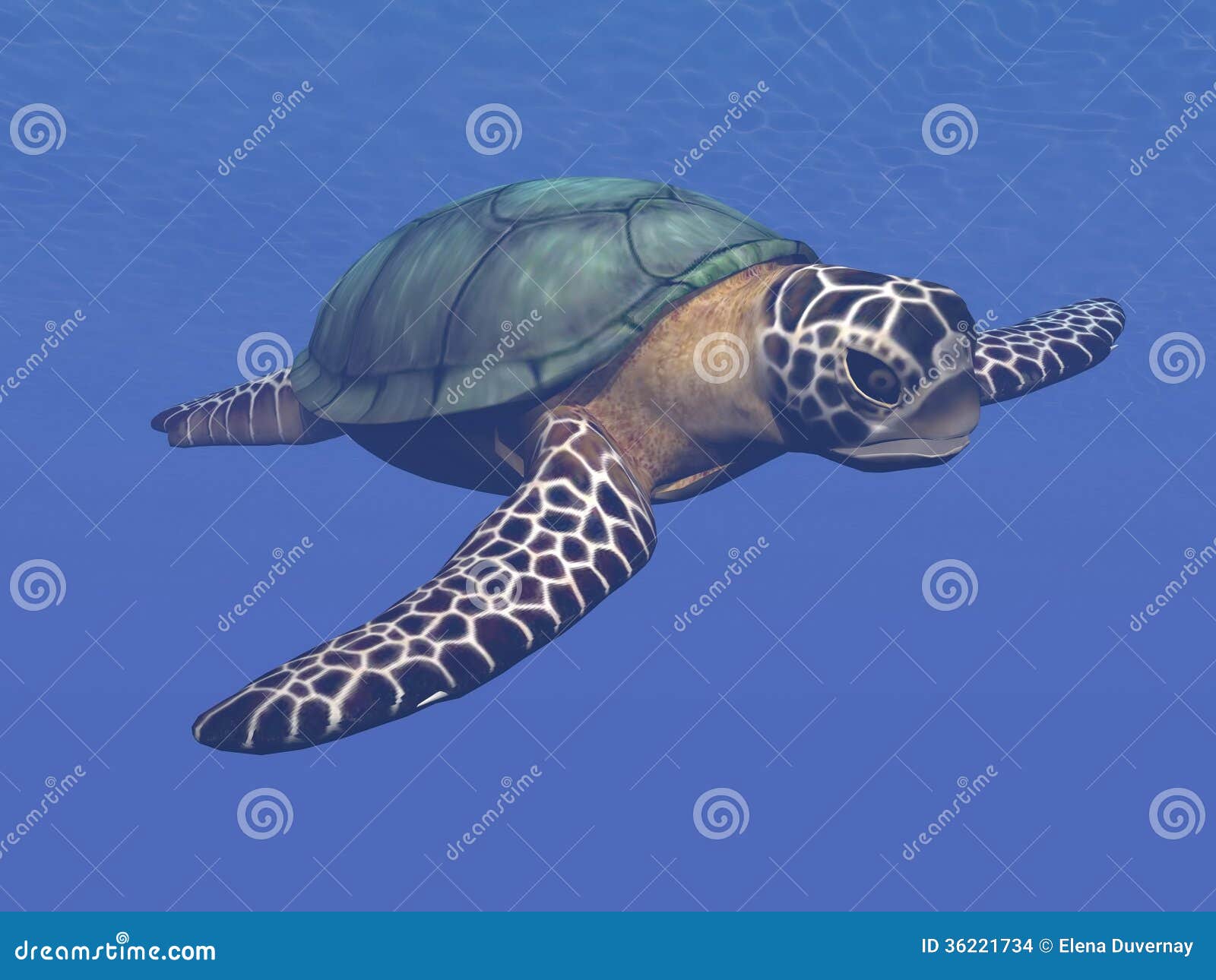 Sea turtle - 3D render stock illustration. Illustration of shell - 36221734