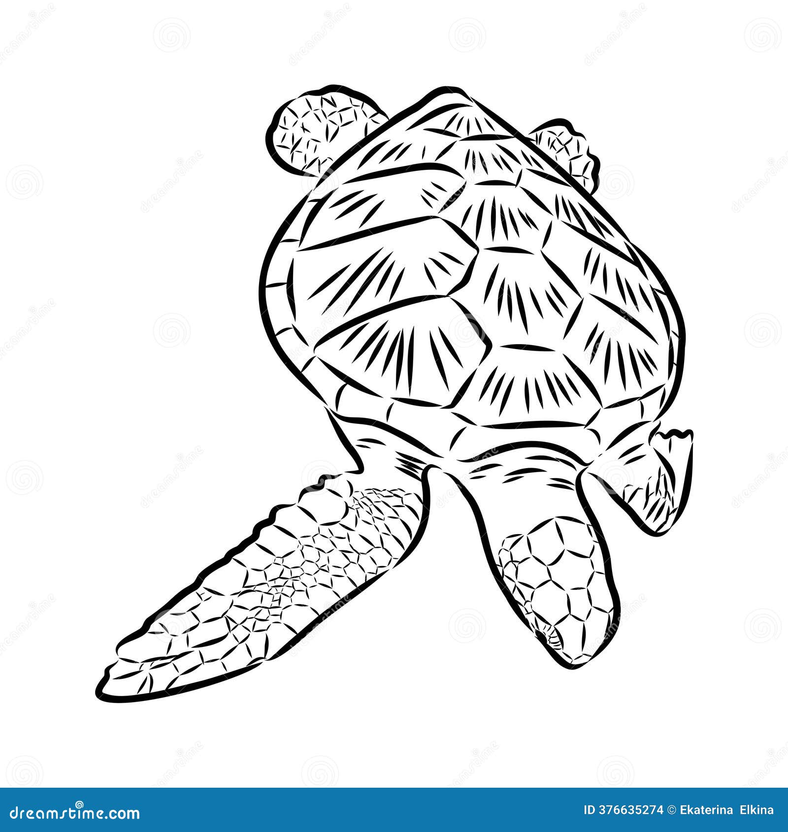 Lo Shu Turtle Drawing, Black And White, Feng Shui Vector Illustration ...