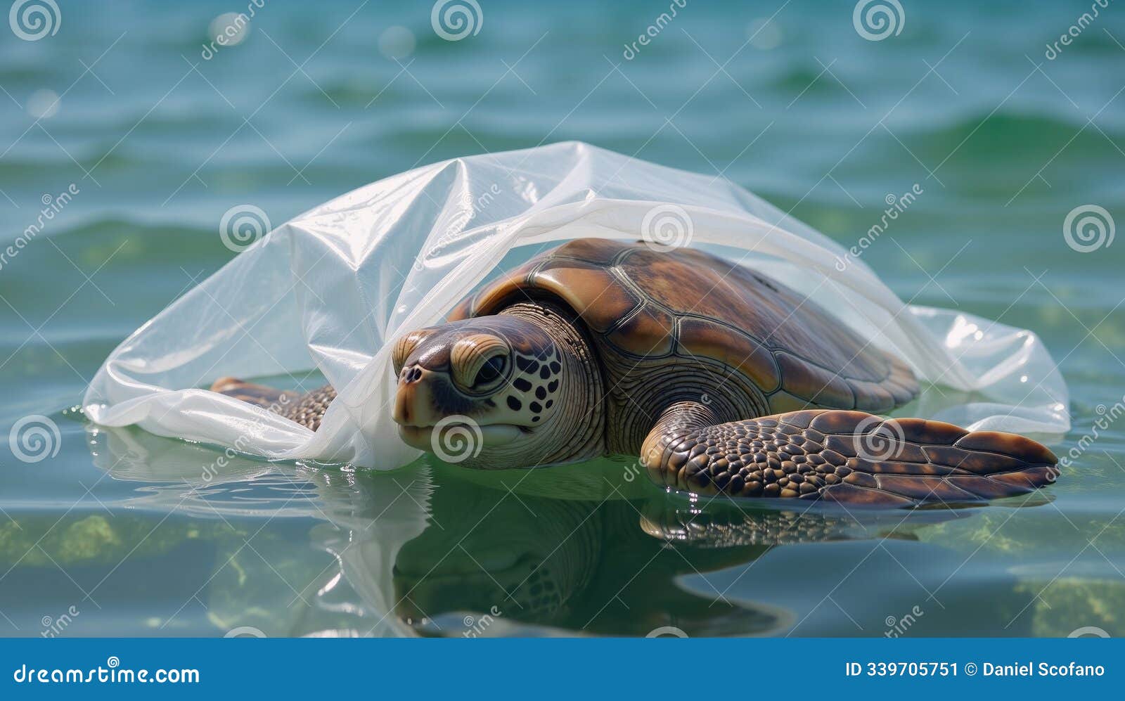 Awareness Of Seafood Allergy And Symptoms, Tiny People Examine Patients ...