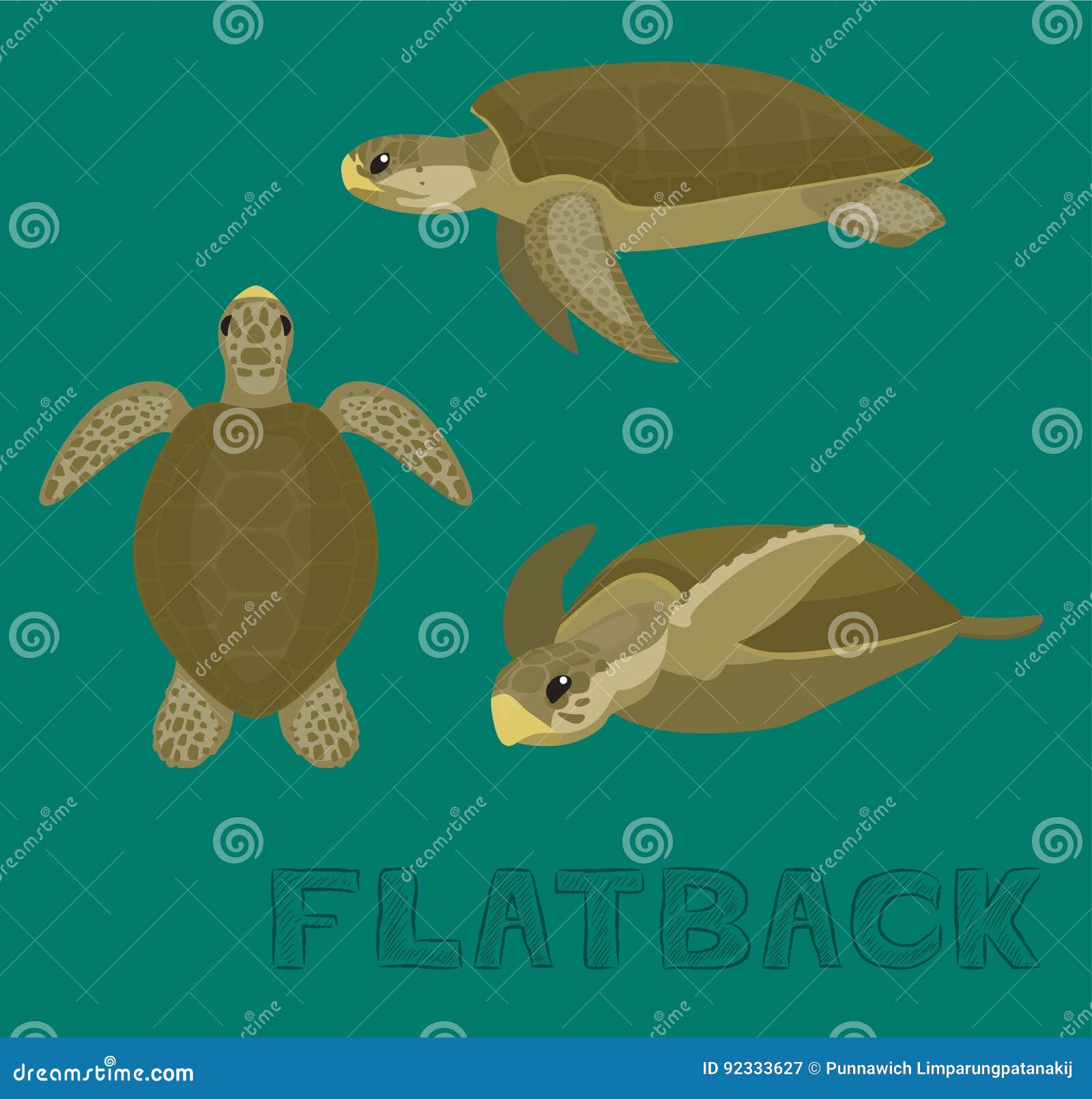Sea Turtle Flatback Cartoon Vector Illustration Stock Vector ...