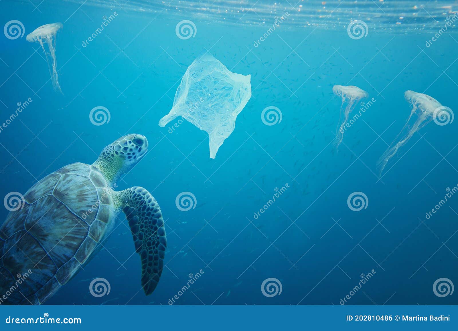 Turtle With A Plastic Bag. Ocean Plastic Pollution Concept. Generative ...