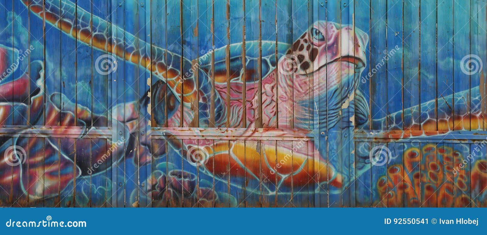 Sea turtle graffiti editorial photo. Image of animal - 92550541