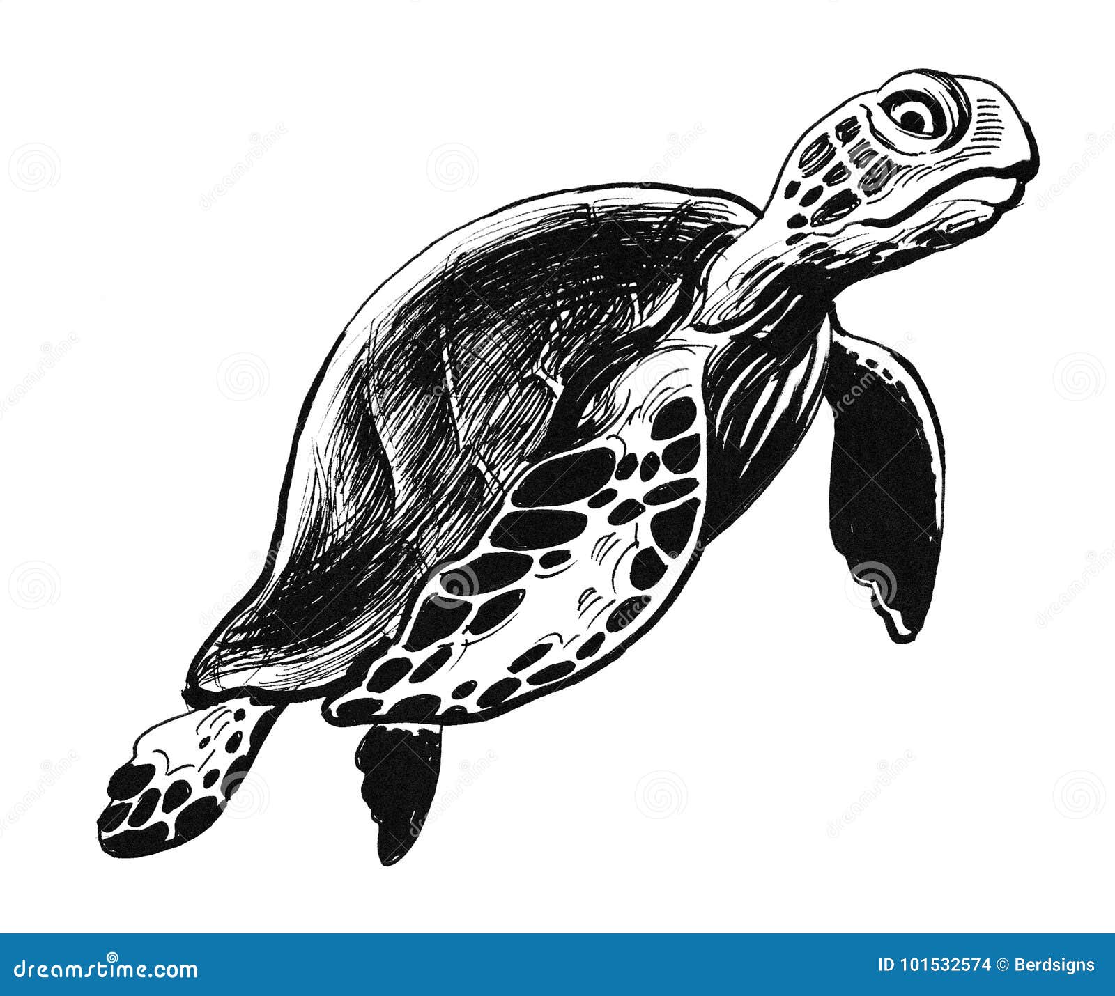 Sea turtle stock illustration. Illustration of animal - 101532574