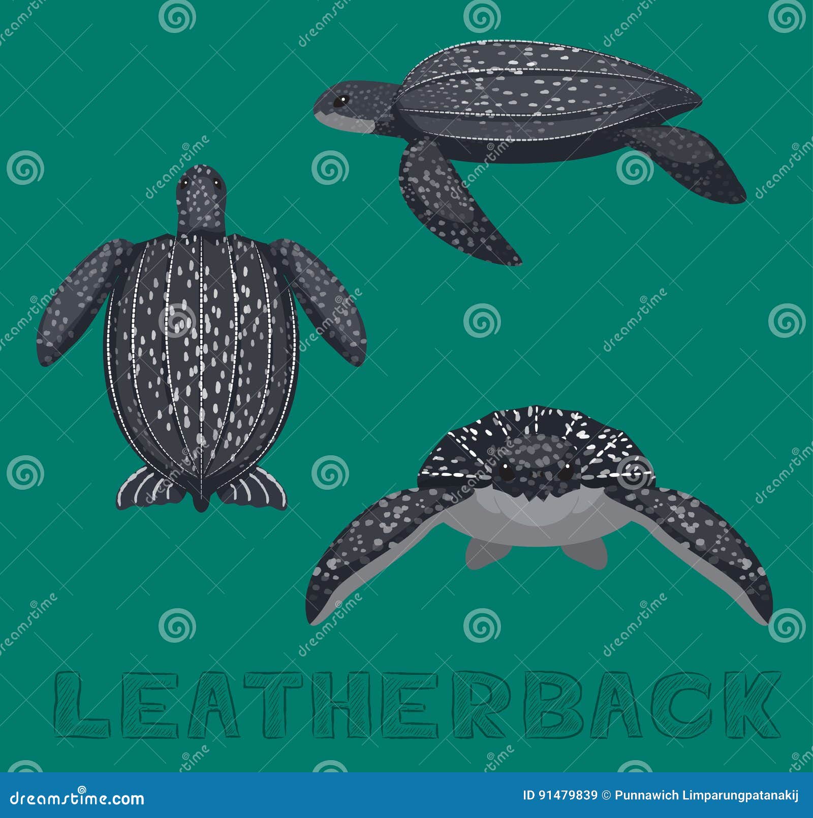 Sea Turtle Leatherback Cartoon Vector Illustration Stock Vector ...