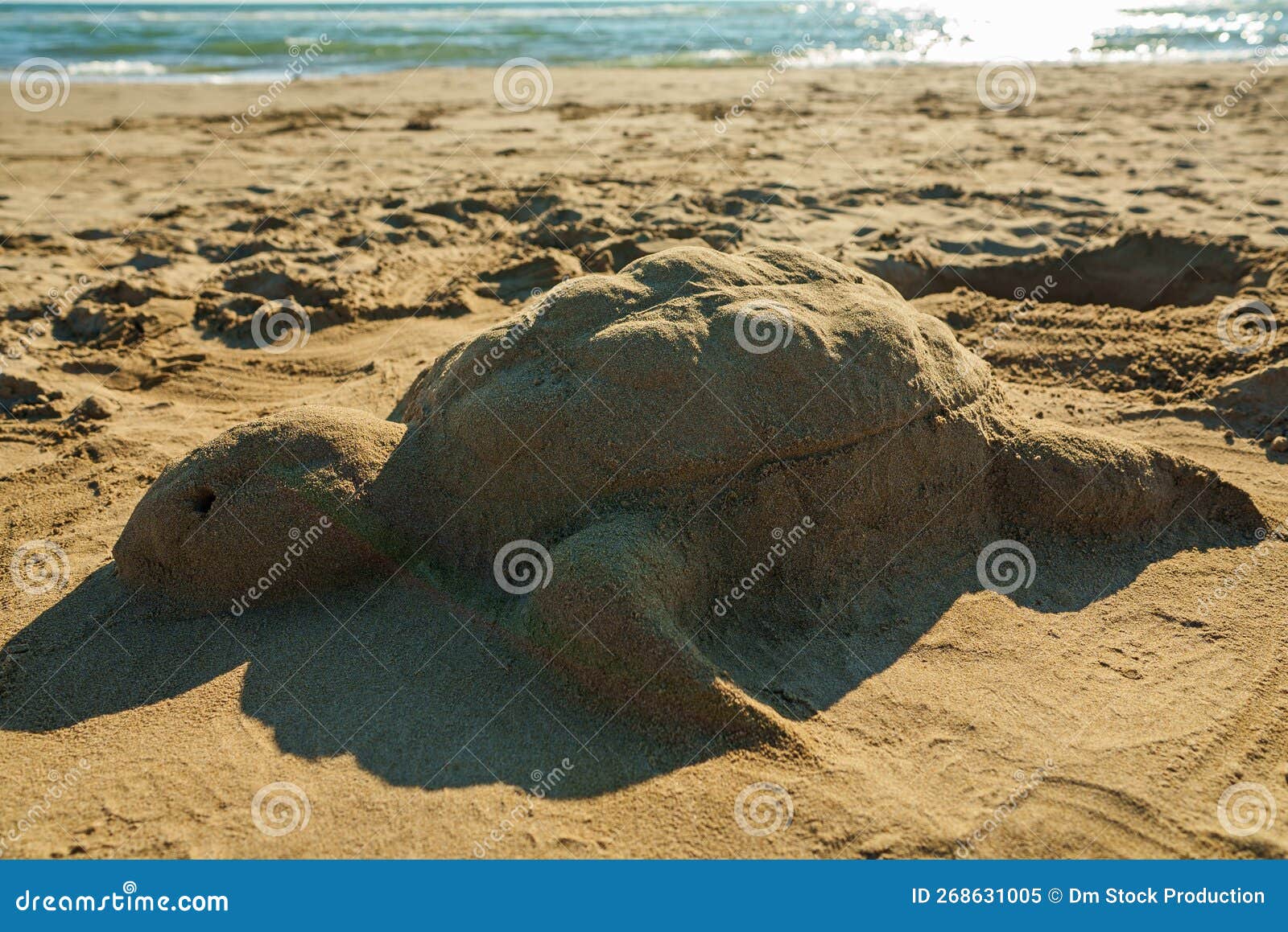Sea turtle made of sand stock image. Image of time, shoreline - 268631005