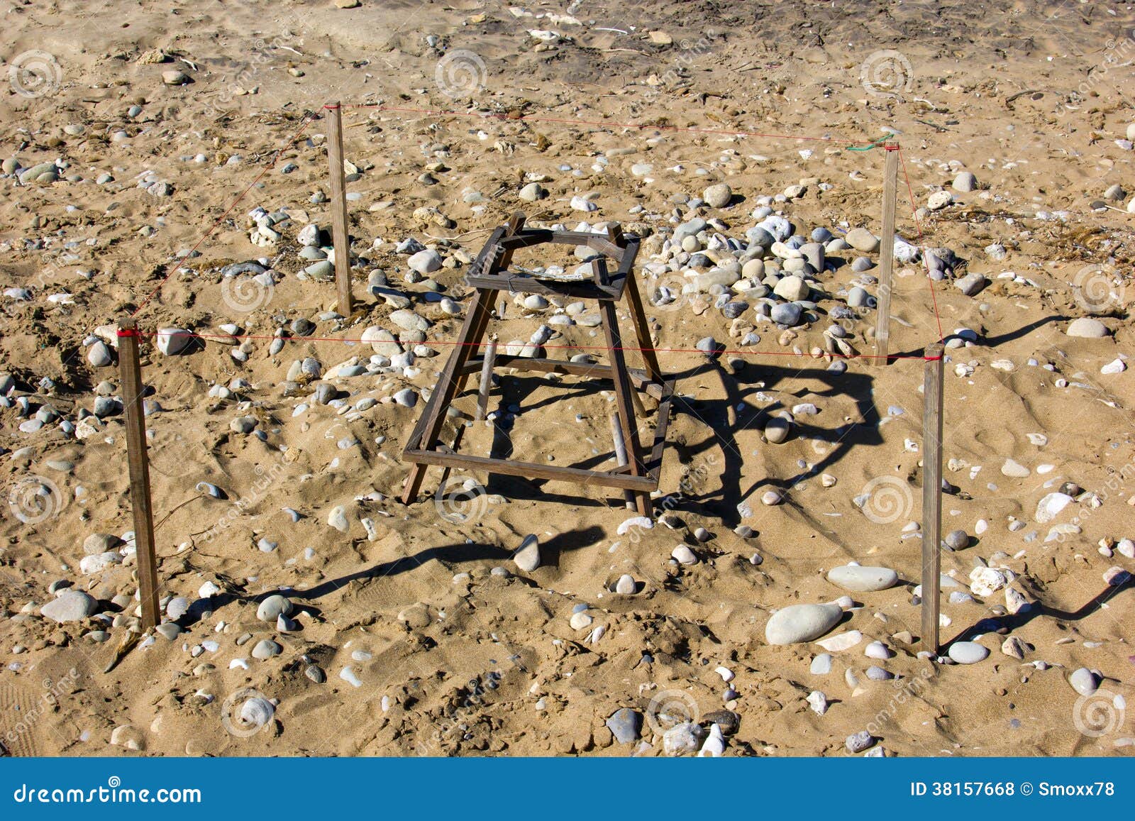 Sea turtle nesting site stock photo. Image of caretta - 38157668