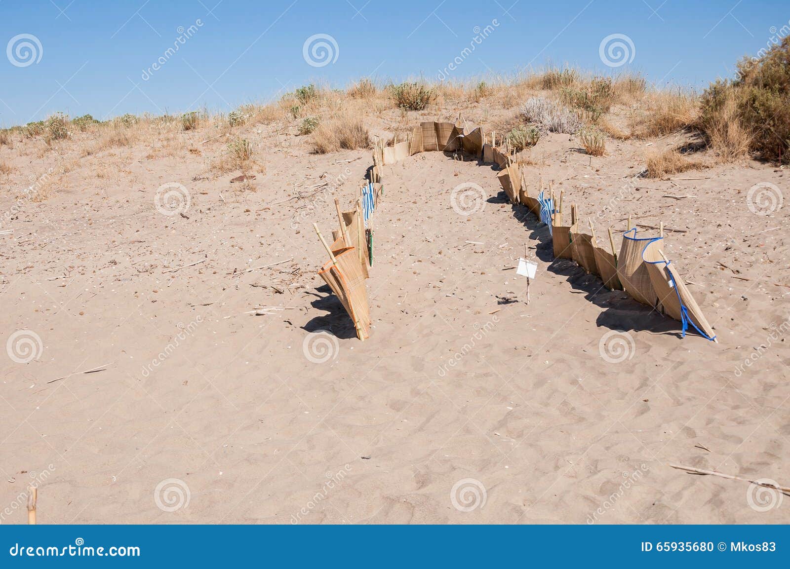 Sea Turtle Nesting Site on Zakynthos Stock Photo - Image of ...