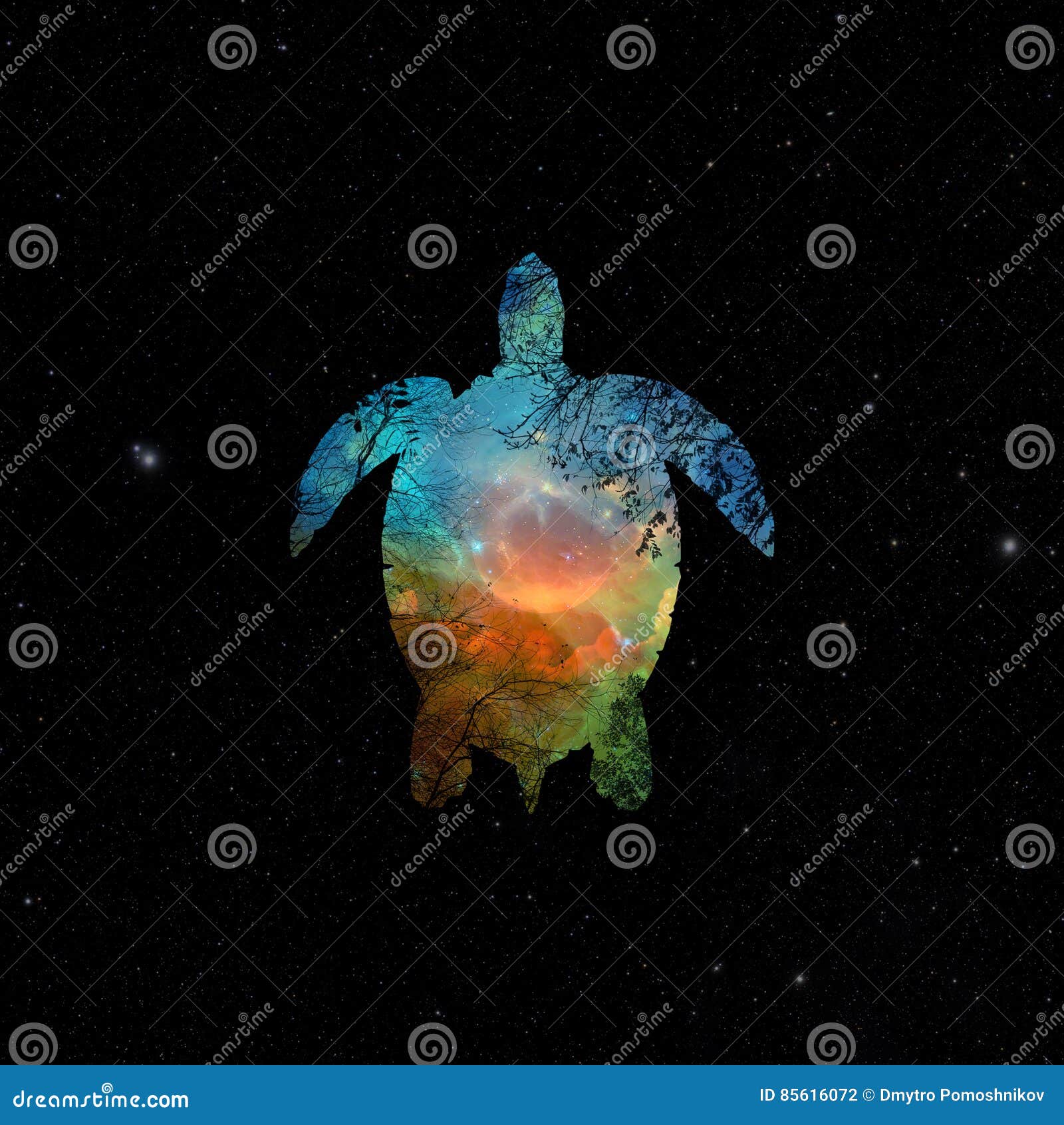 Sea Turtle On Night Sky Royalty-Free Cartoon | CartoonDealer.com #85616072