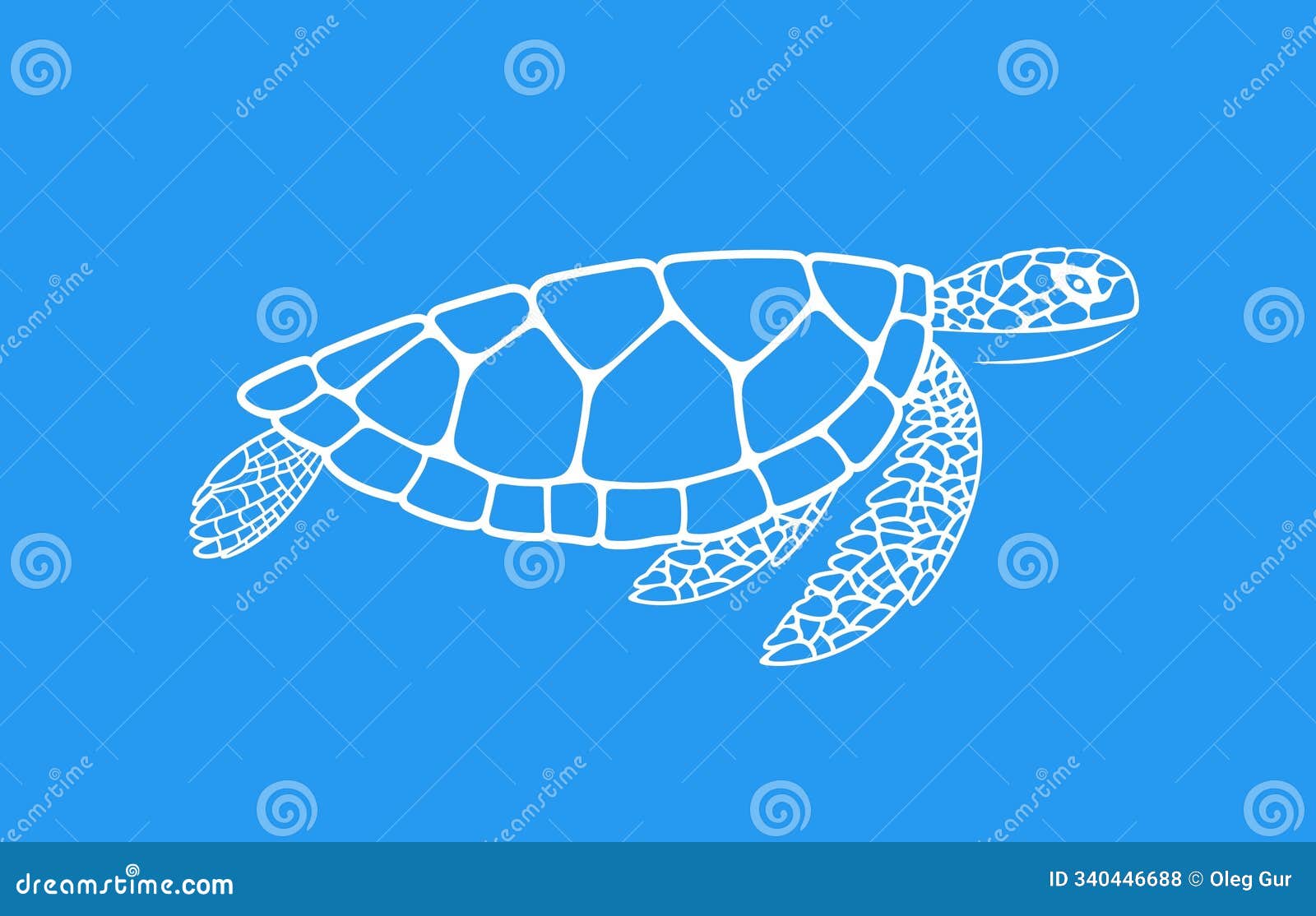 Sea Turtle Outline. Isolated Turtle On White Background. Reptile Vector ...