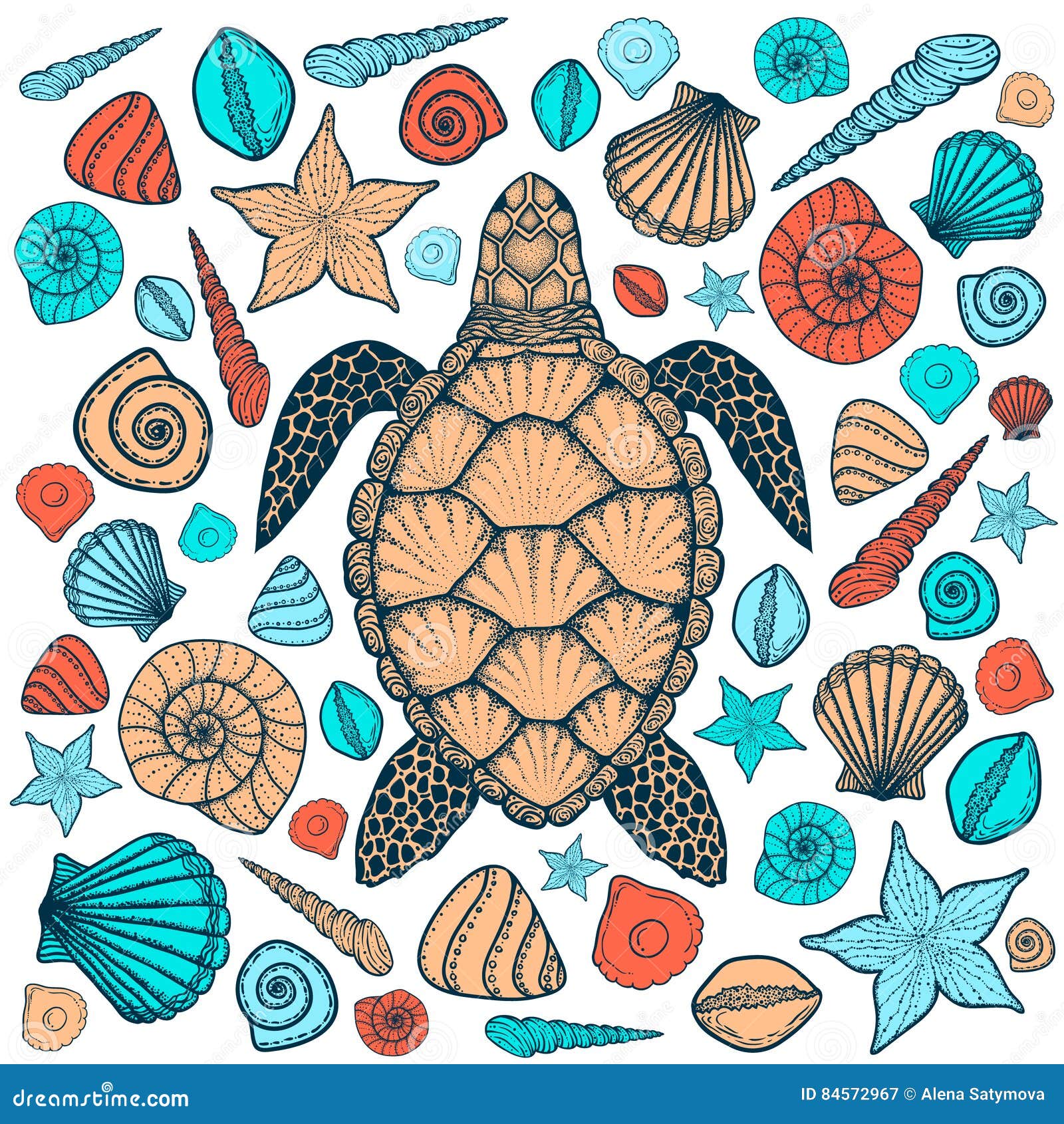 Sea Turtle Shell