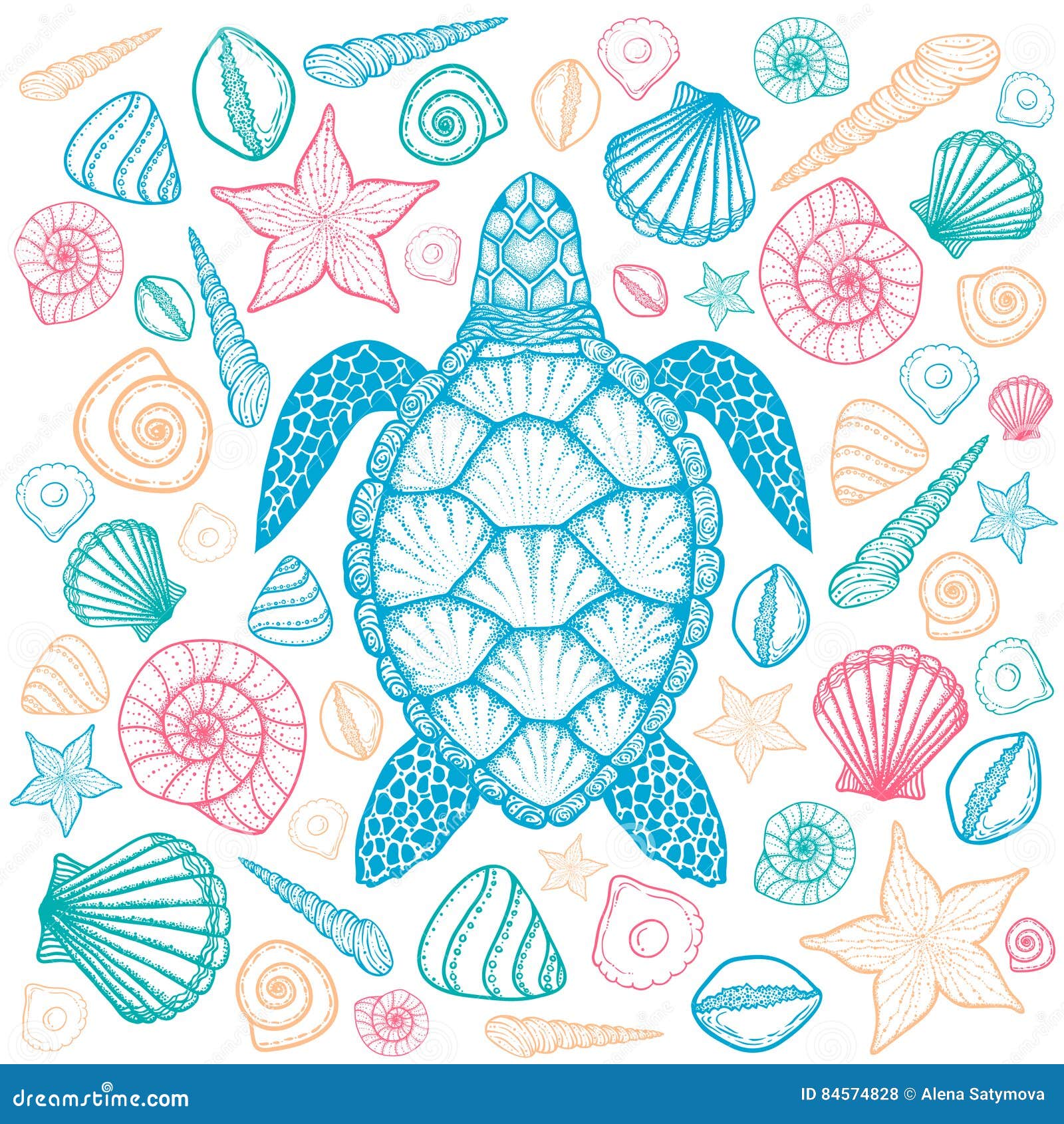 Sea Turtle and Shells in Line Art Style. Hand Drawn Vector Illustration ...