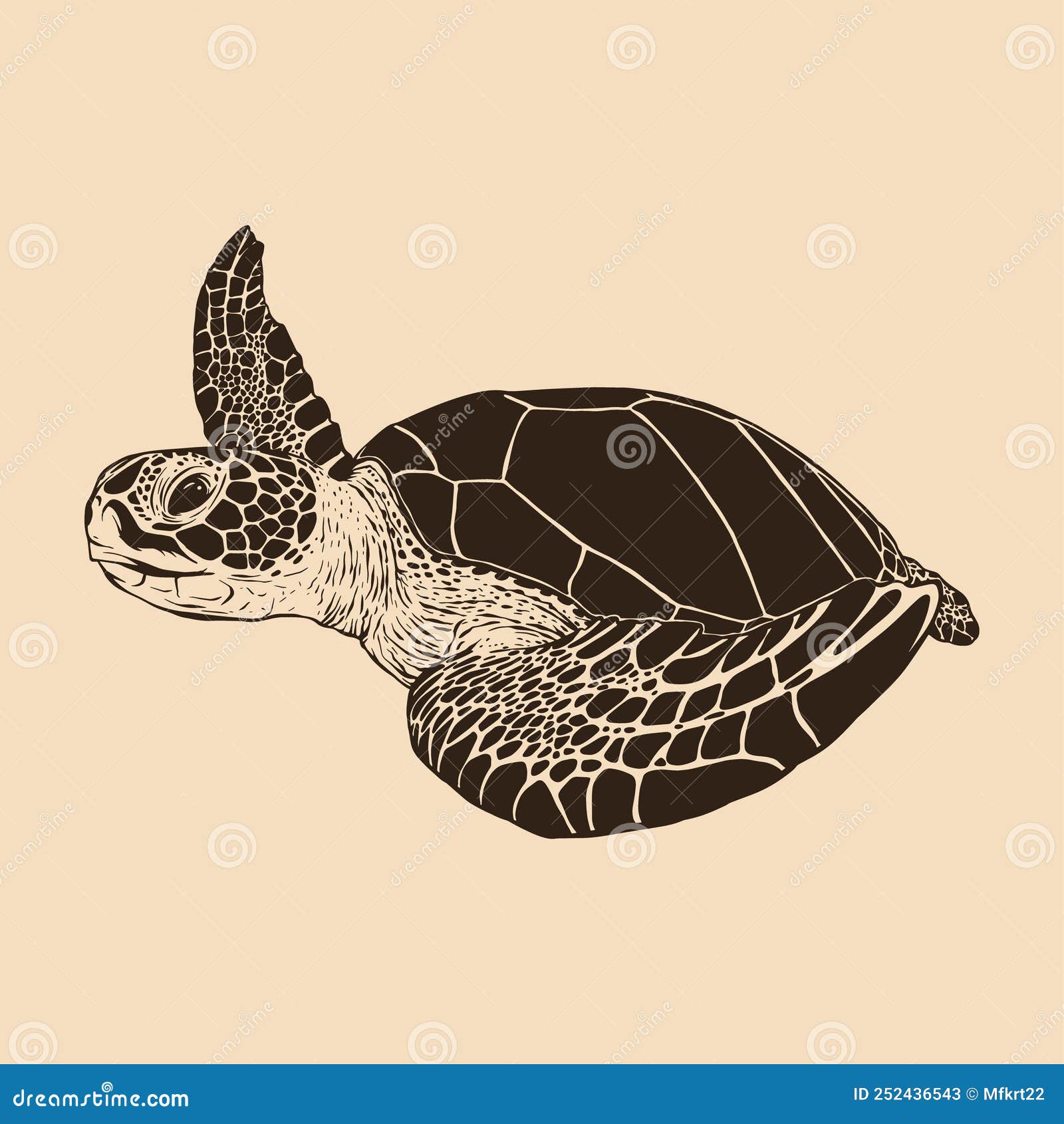 Sea Turtle Sketch Illustration Drawing Vector Stock Vector ...