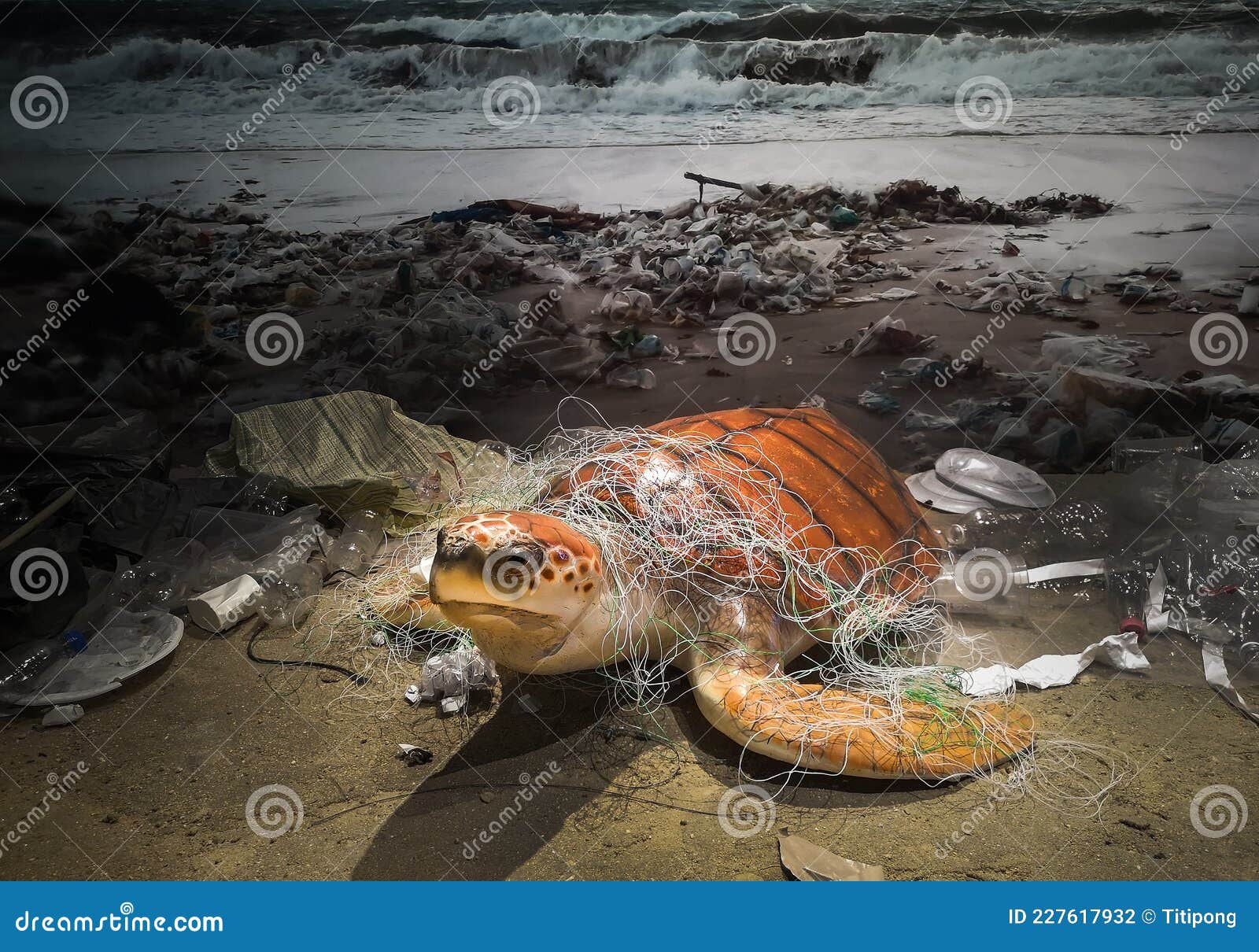 Sea Turtles and Garbage Shown in the Museum Stock Photo - Image of ...