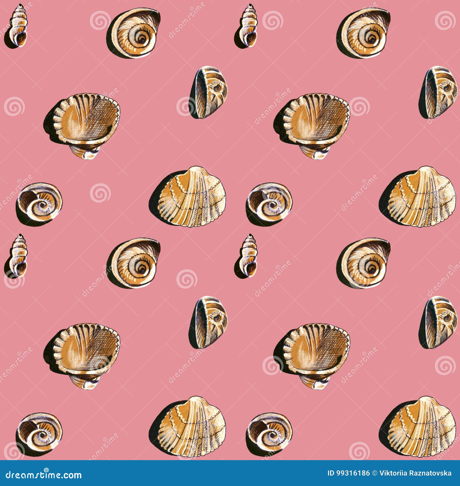 Sea Various Seashells Pattern Stock Illustration - Illustration of ...