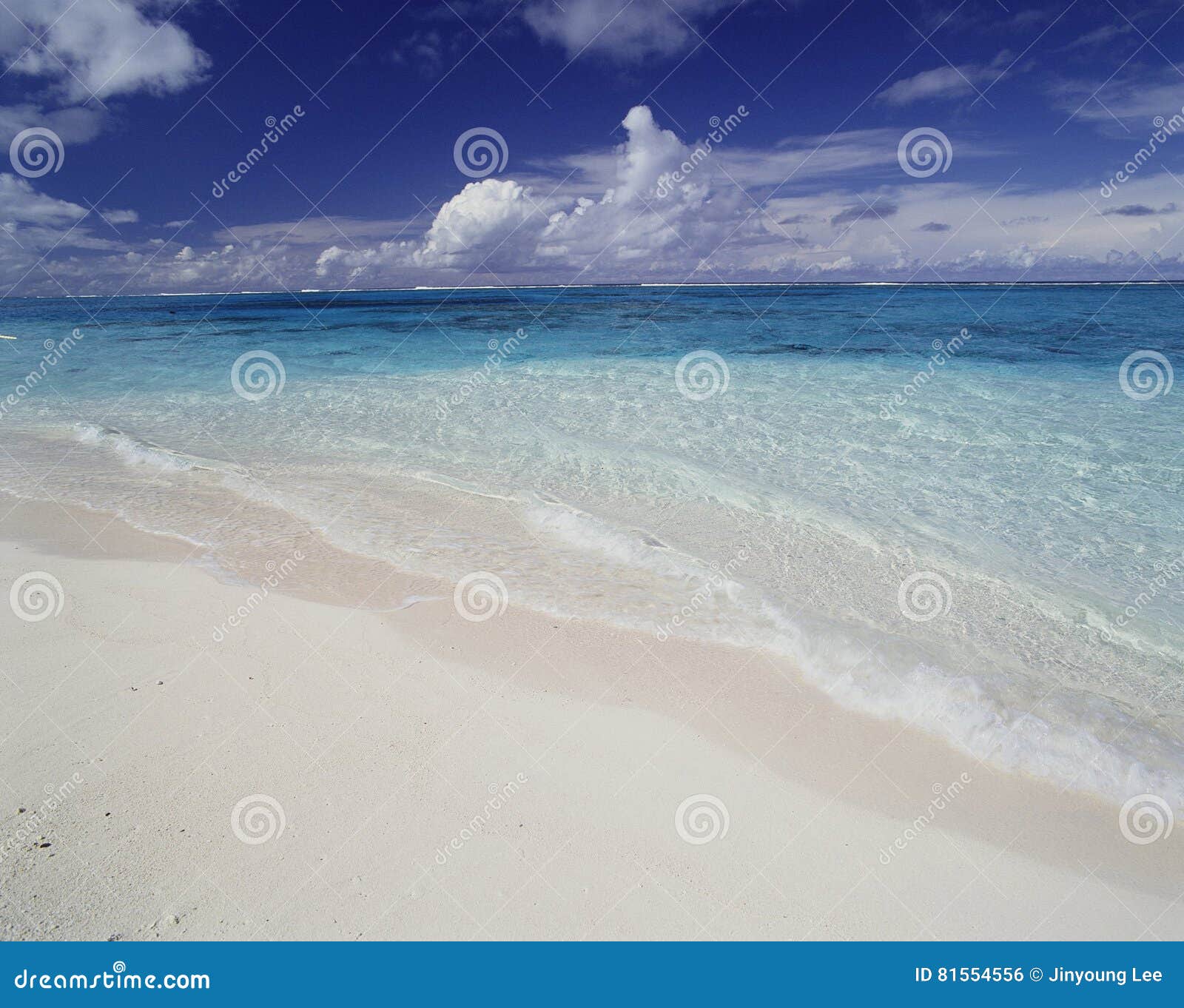 Sea View stock photo. Image of view, ocean, background - 81554556
