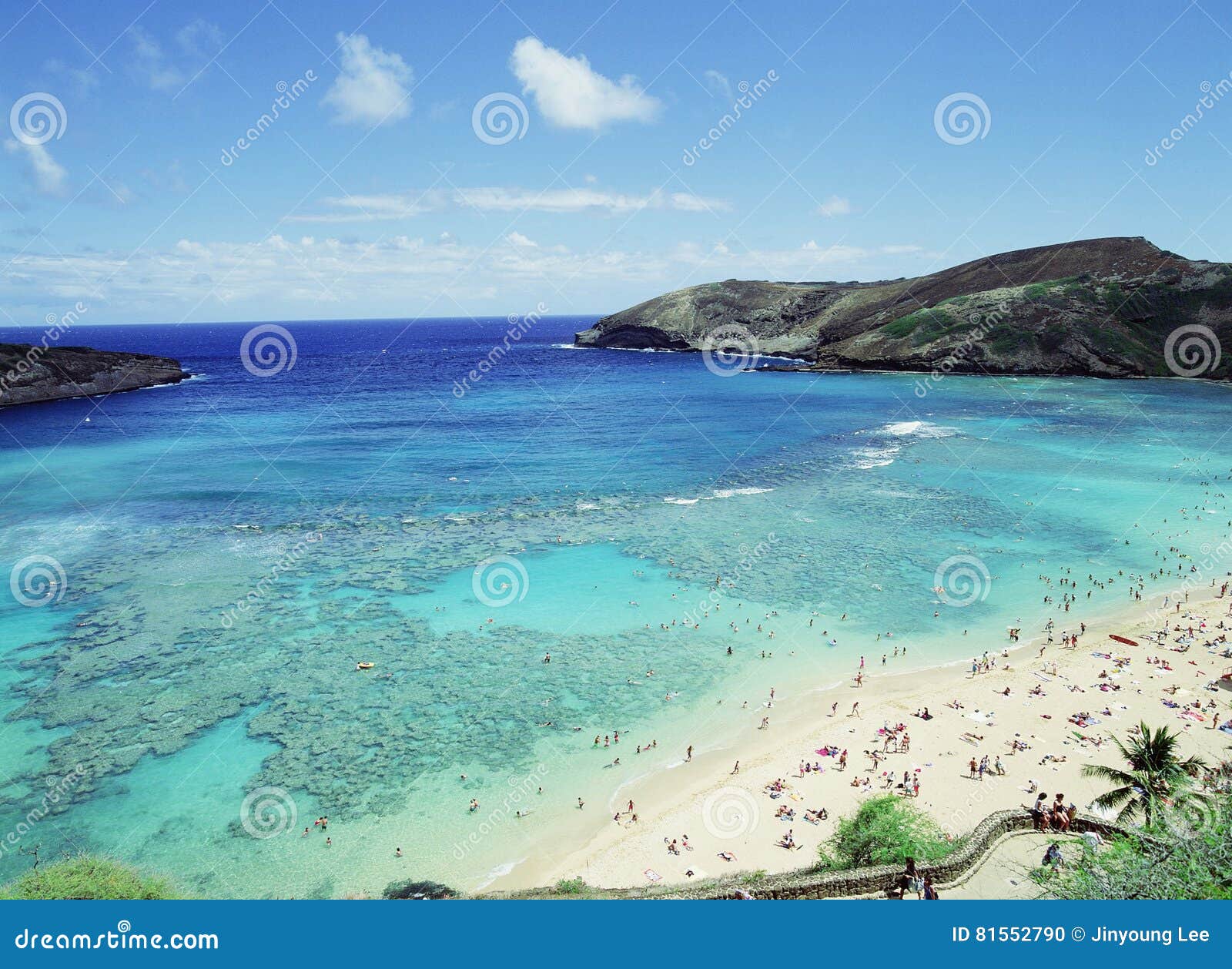 Sea View stock photo. Image of caribbean, rock, beach - 81552790