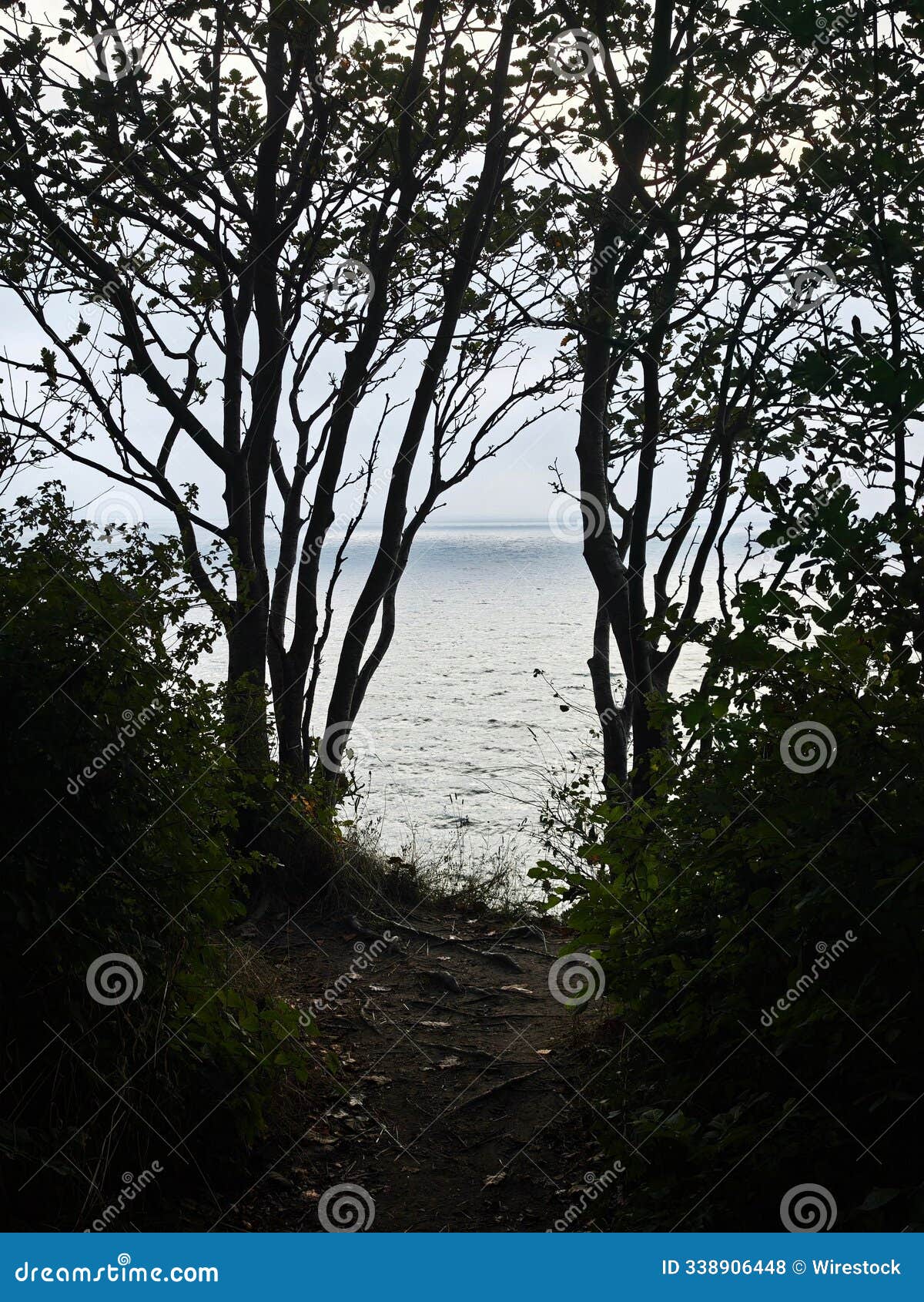 Sea View Framed with Greenery and Tree S Branches in Castle Palace ...