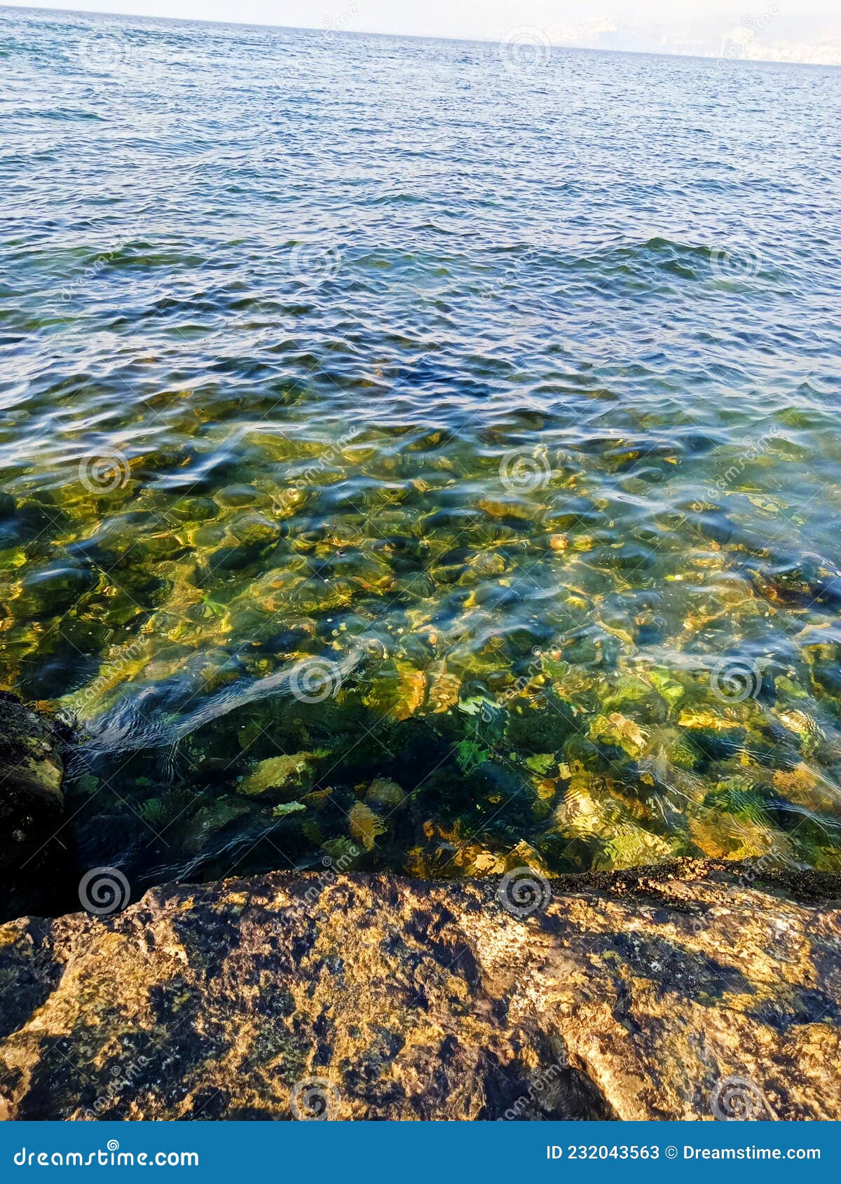 Sea View with Green and Blue Stock Image - Image of leaf, sunlight ...