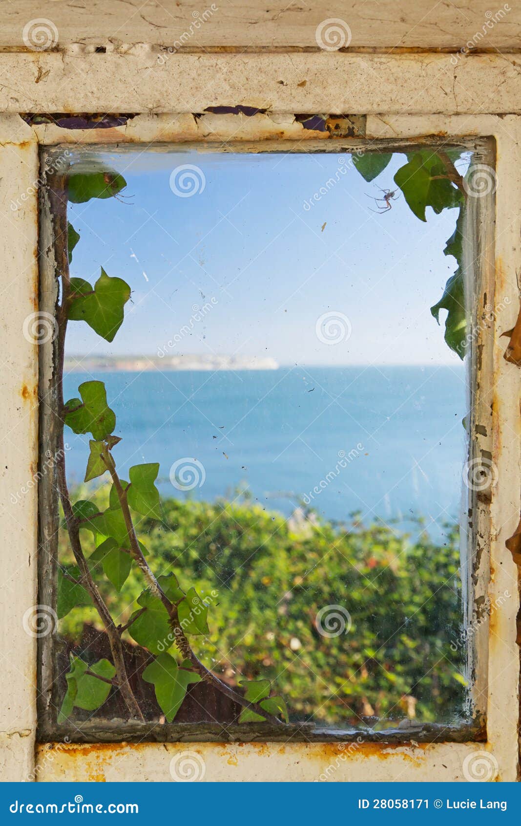 Sea View through an Ivy Covered Window Stock Image - Image of aged ...