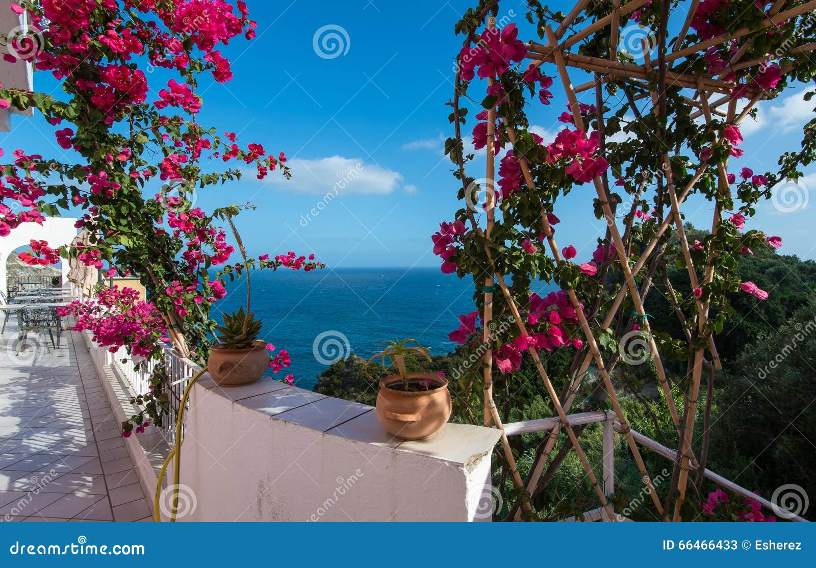 205 Ischia Beaches Stock Photos - Free & Royalty-Free Stock Photos from ...