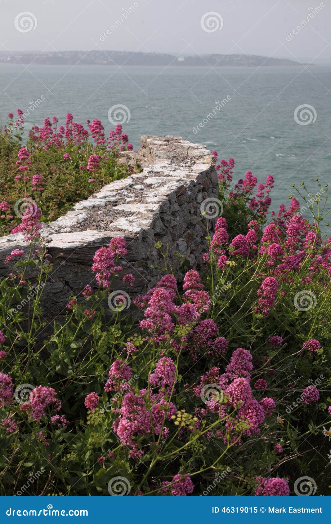 Sea Wall on Cliffs in Devon Stock Image - Image of coast, ocean: 46319015