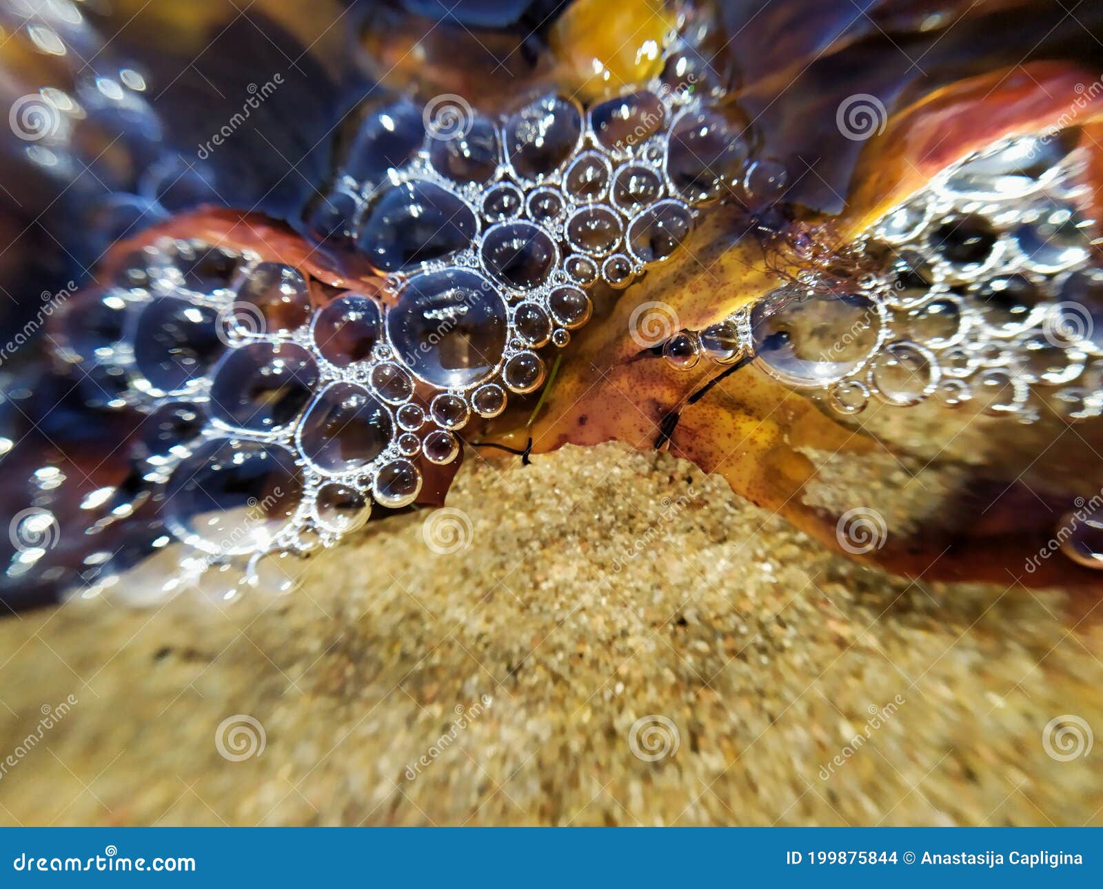 Sea water drop stock photo. Image of sand, nature, drop - 199875844