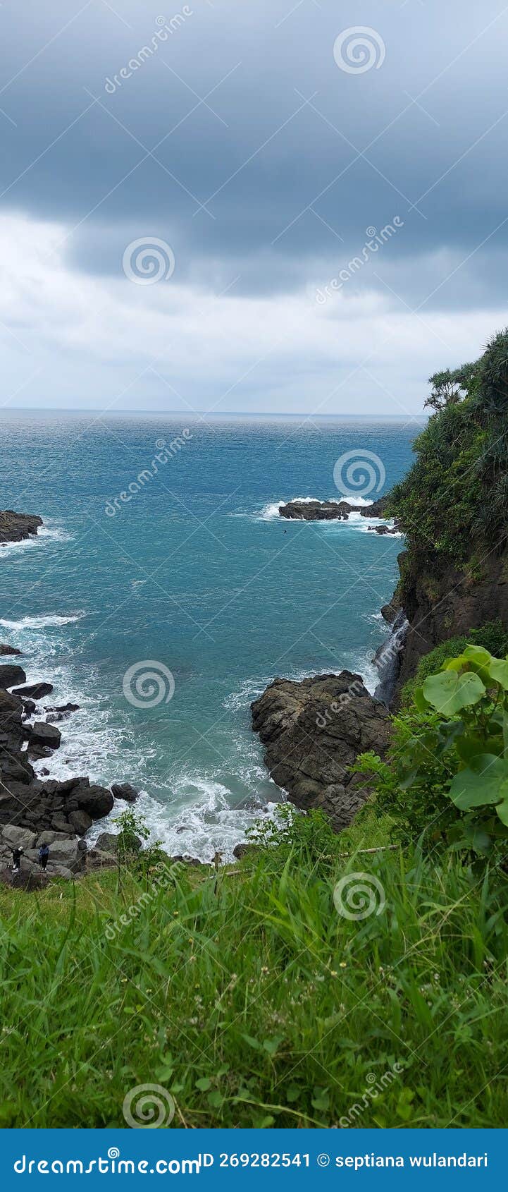 Sea water fall stock image. Image of river, plant, formation - 269282541
