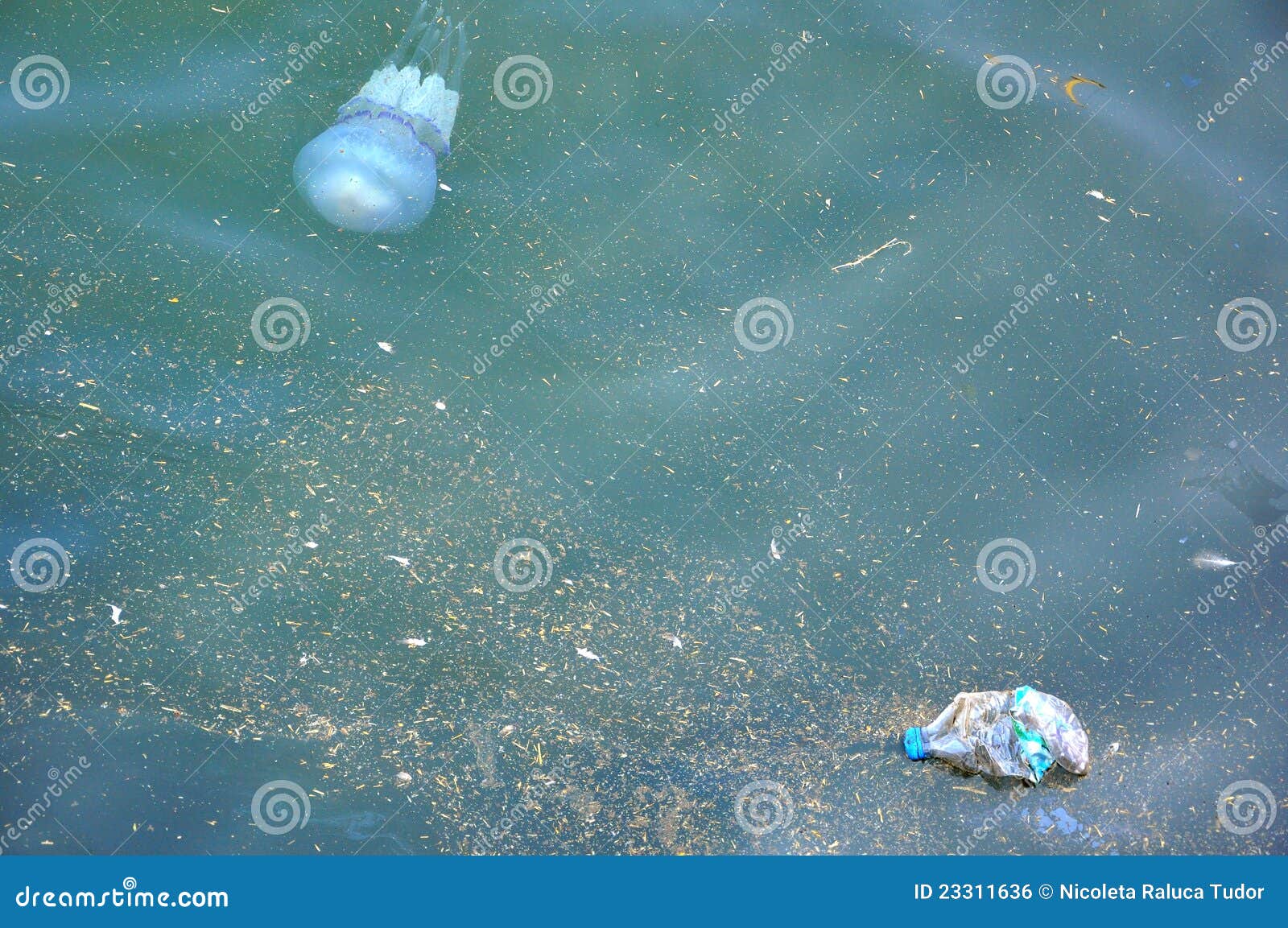 Sea , Water, Ocean Pollution Concept Stock Photo - Image of damage ...