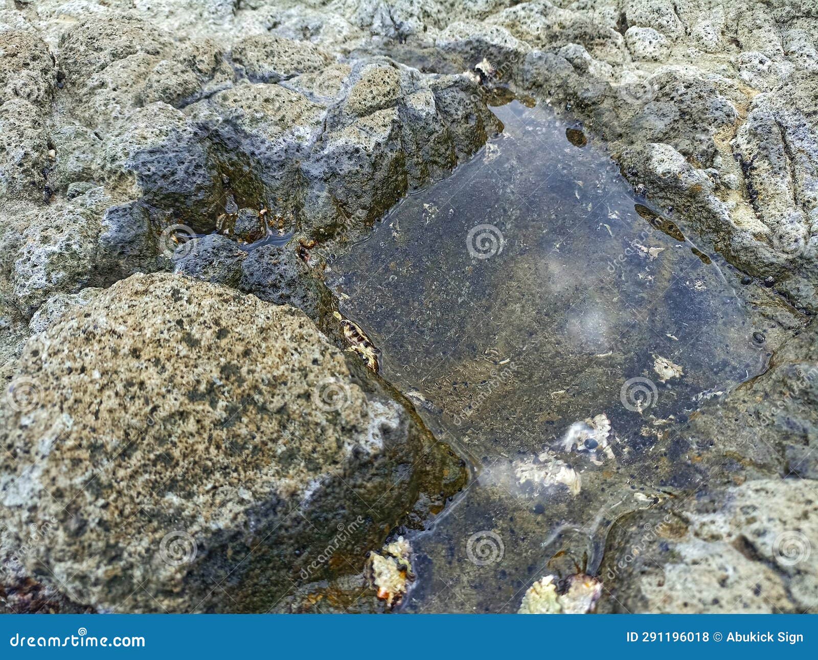 Sea Water Puddles on the Rocks on the Coast Stock Photo - Image of sand ...