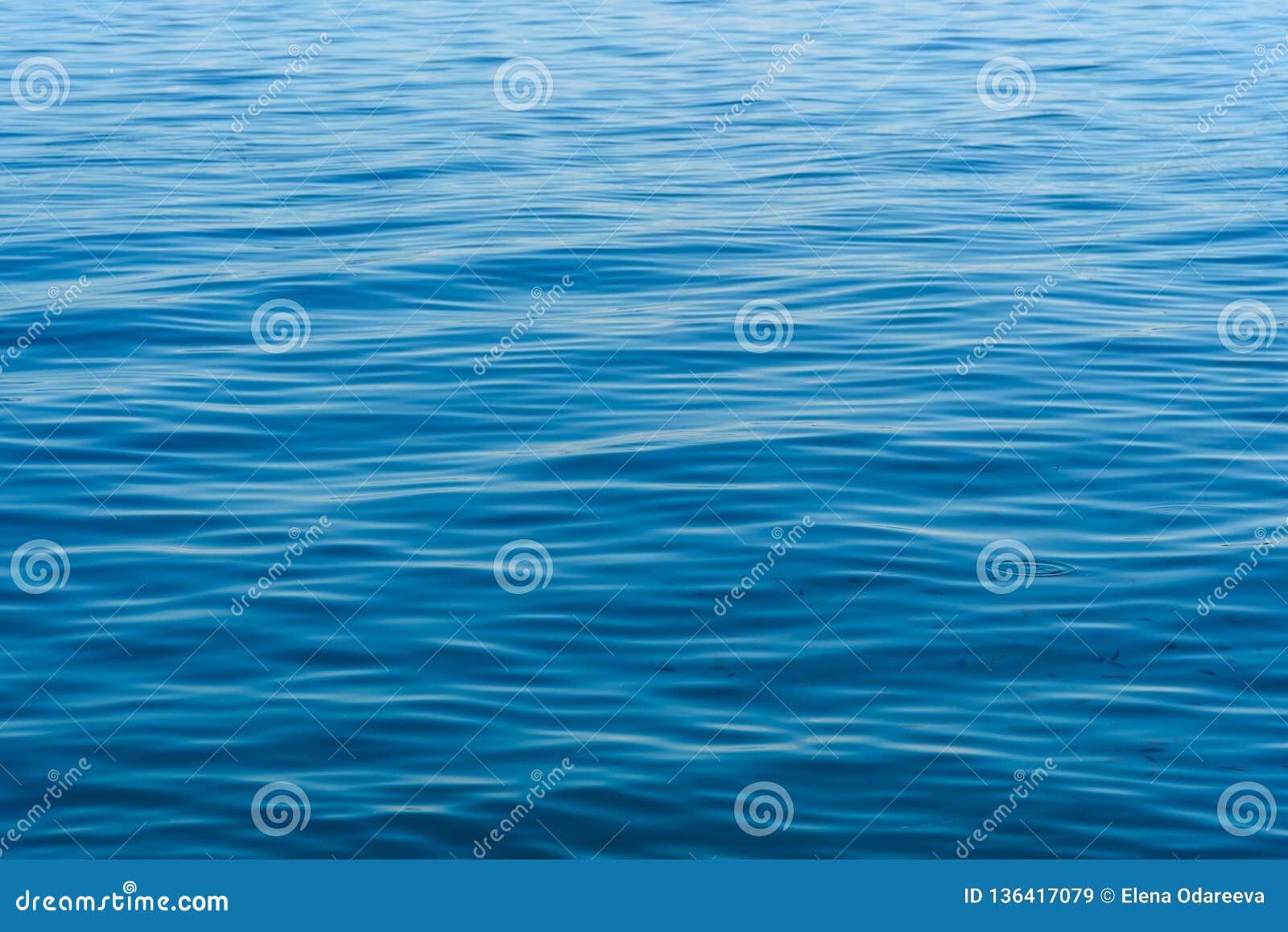 Sea Water with Smal Fish Background Stock Image - Image of santo, color ...