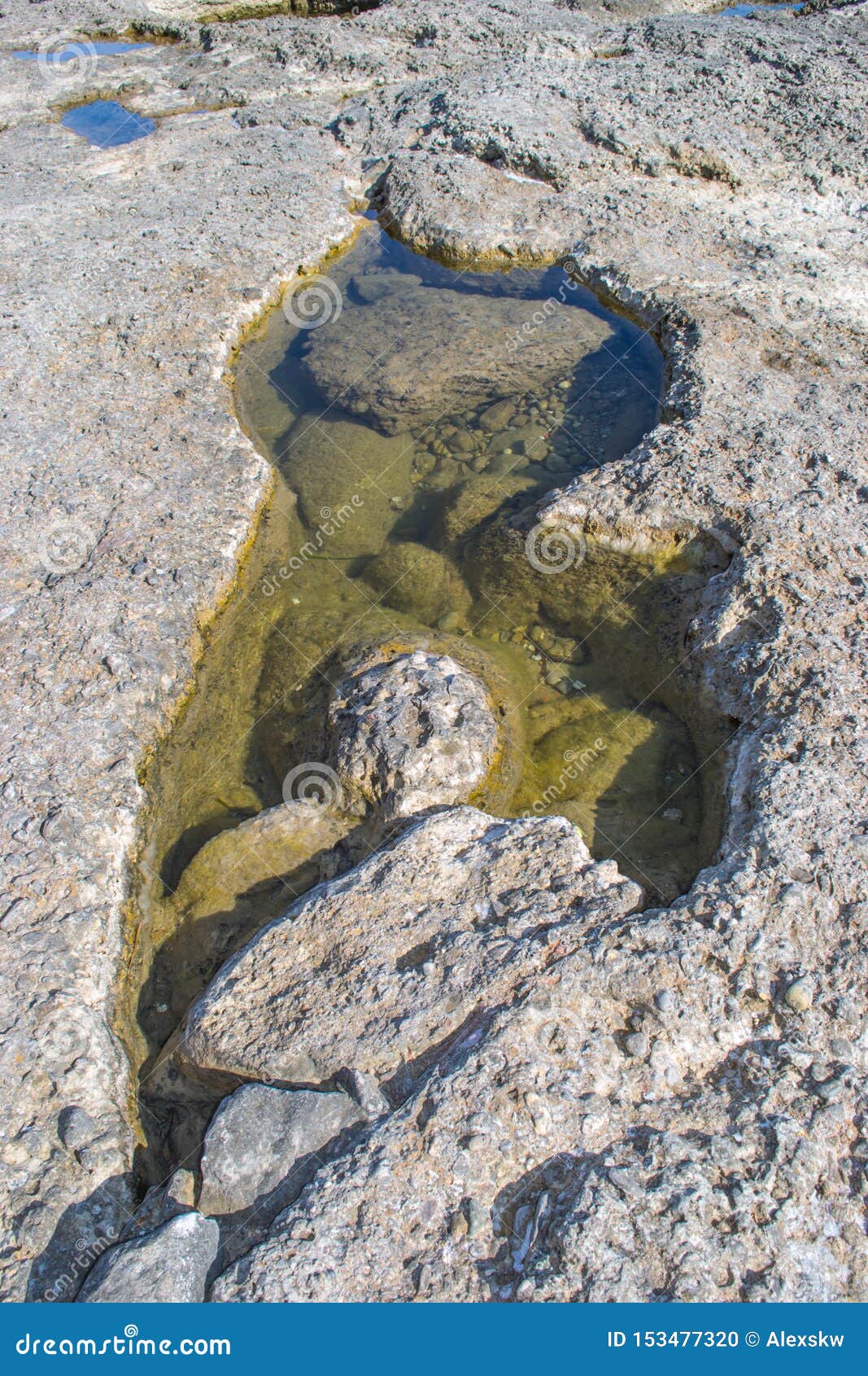 Sea water in the trough stock photo. Image of marine - 153477320