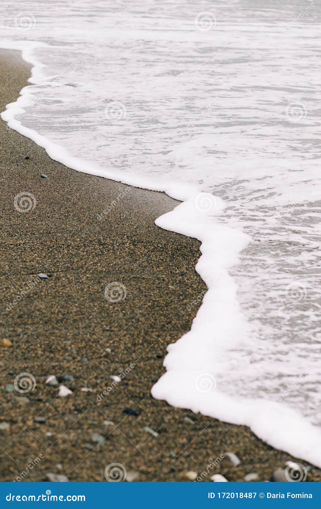 The Sea Wave Arrives on the Sandy Shore . Beautiful Natural Background ...