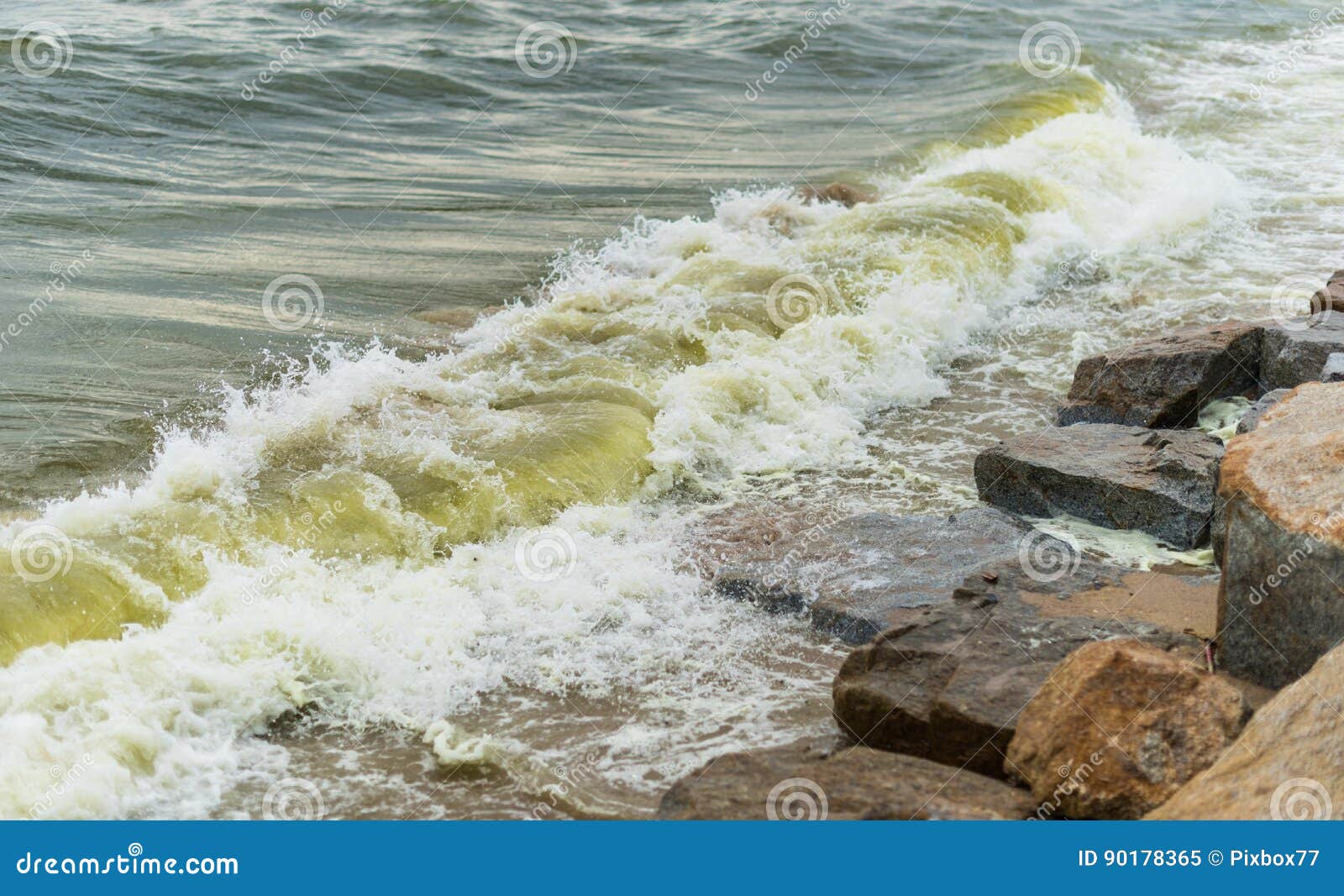 Sea Wave with Beach, Algal Bloom Stock Image - Image of algae, blooming ...