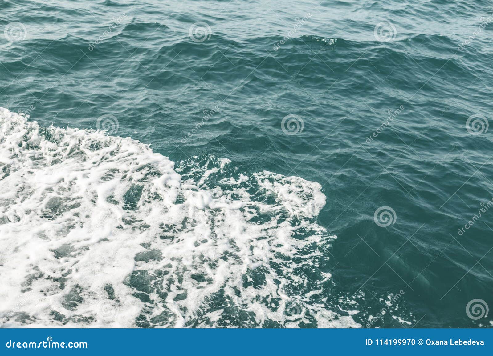 Sea Wave Close Up, Low Angle View Stock Photo - Image of cool, shore ...
