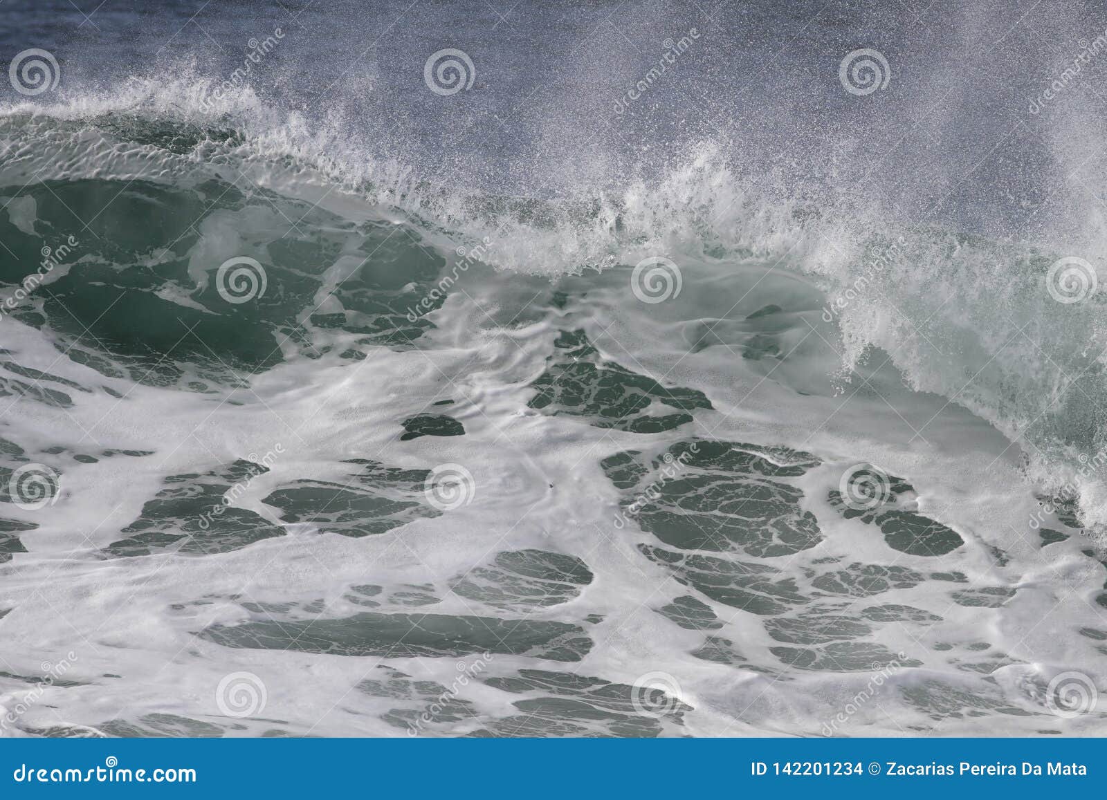 Sea wave crest stock photo. Image of tide, foam, water - 142201234