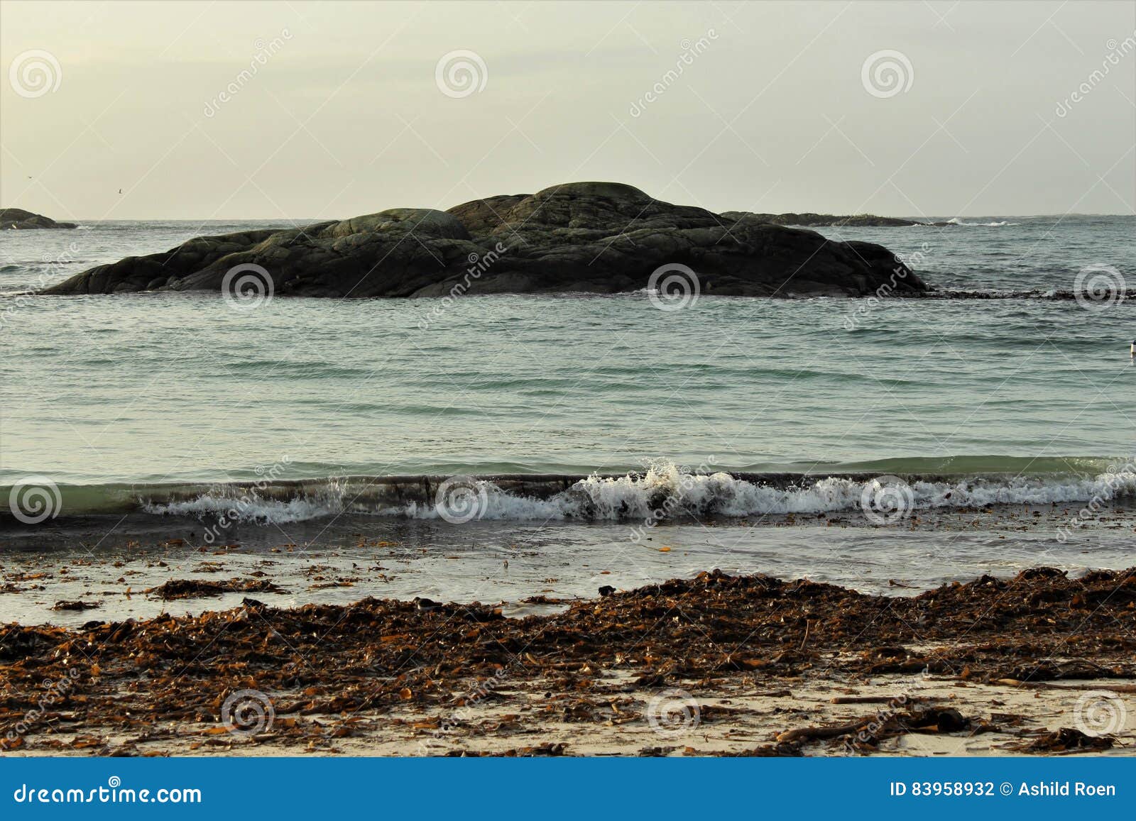 Sea stock photo. Image of january, rocks, rock, ocean - 83958932